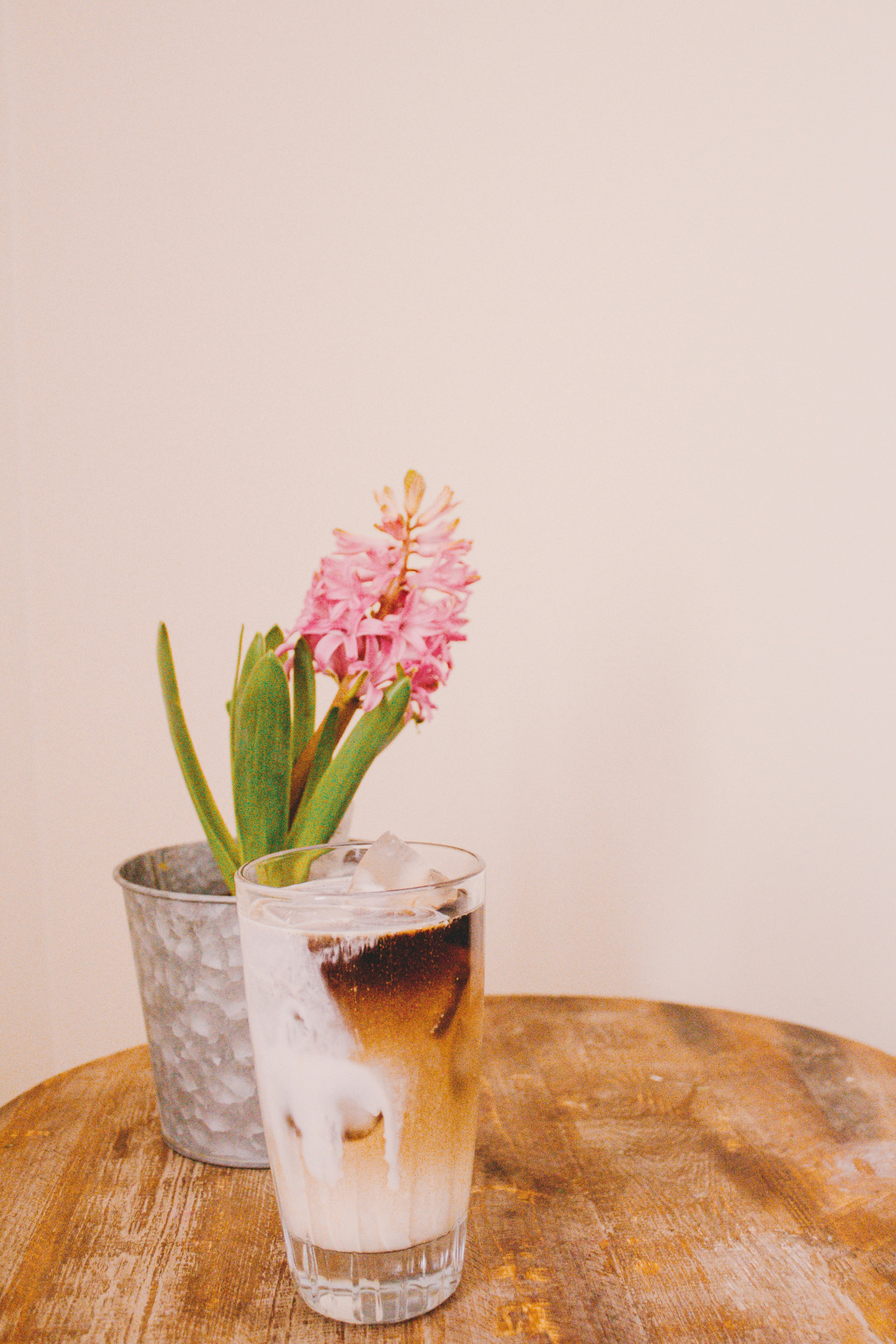 Glassed Glow: A Glass of Cream and a Pink Hyacinth