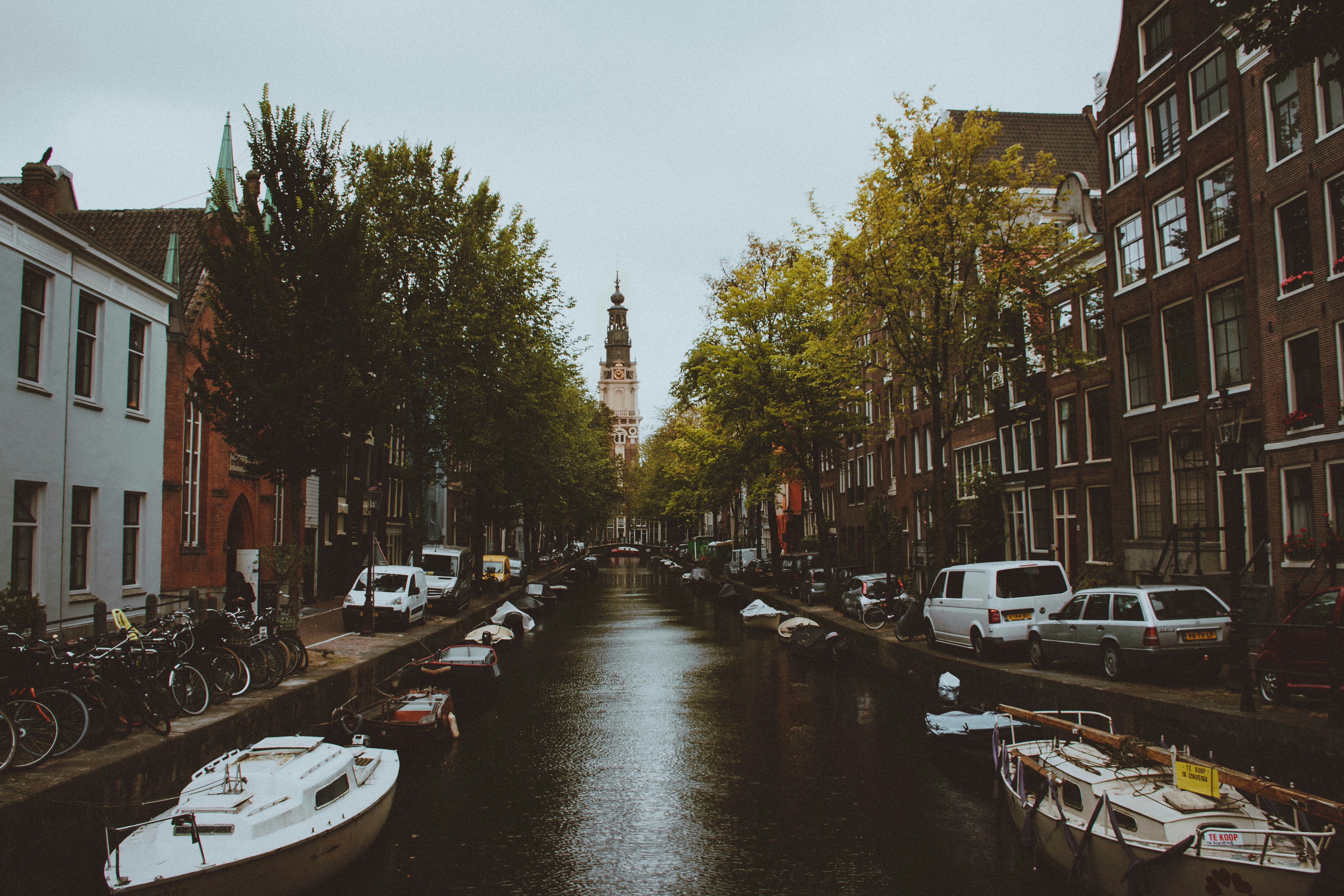 Bote blanco en el río cerca de árboles verdes durante el día foto ...