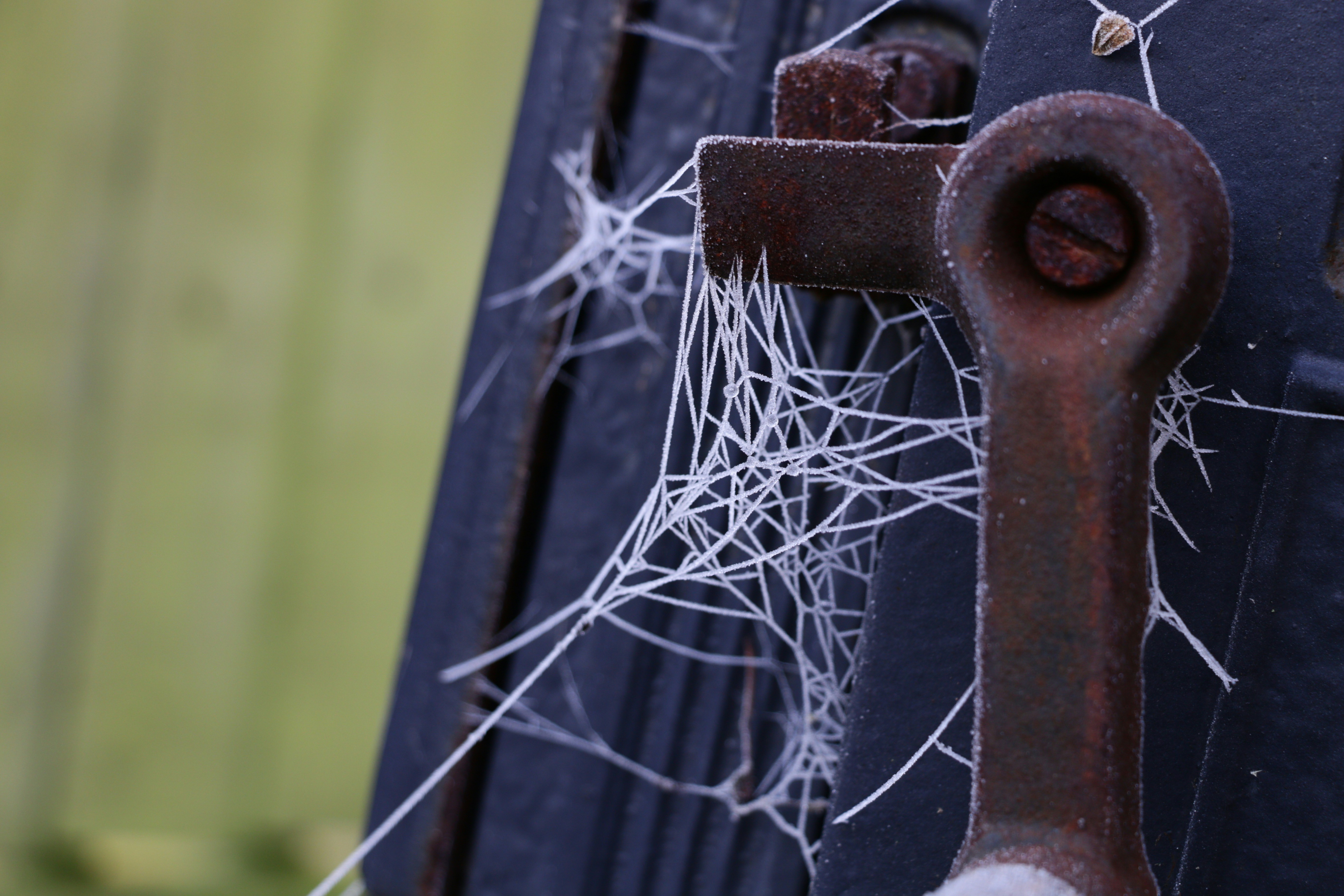 Delicate Spider Silk Draped Across a Weathered Rusted Latch