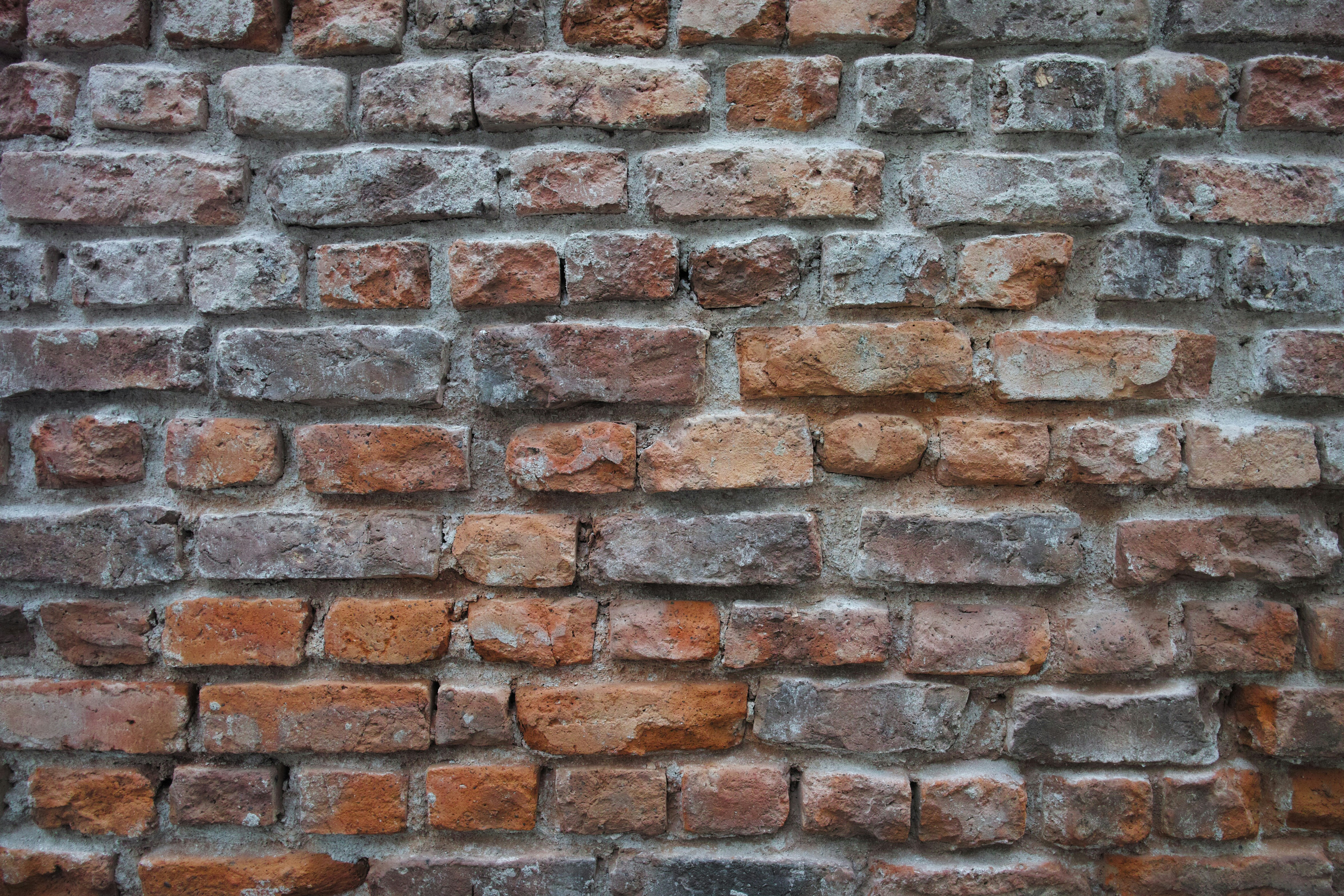 Brown and grey bricks form a textured wall pattern.