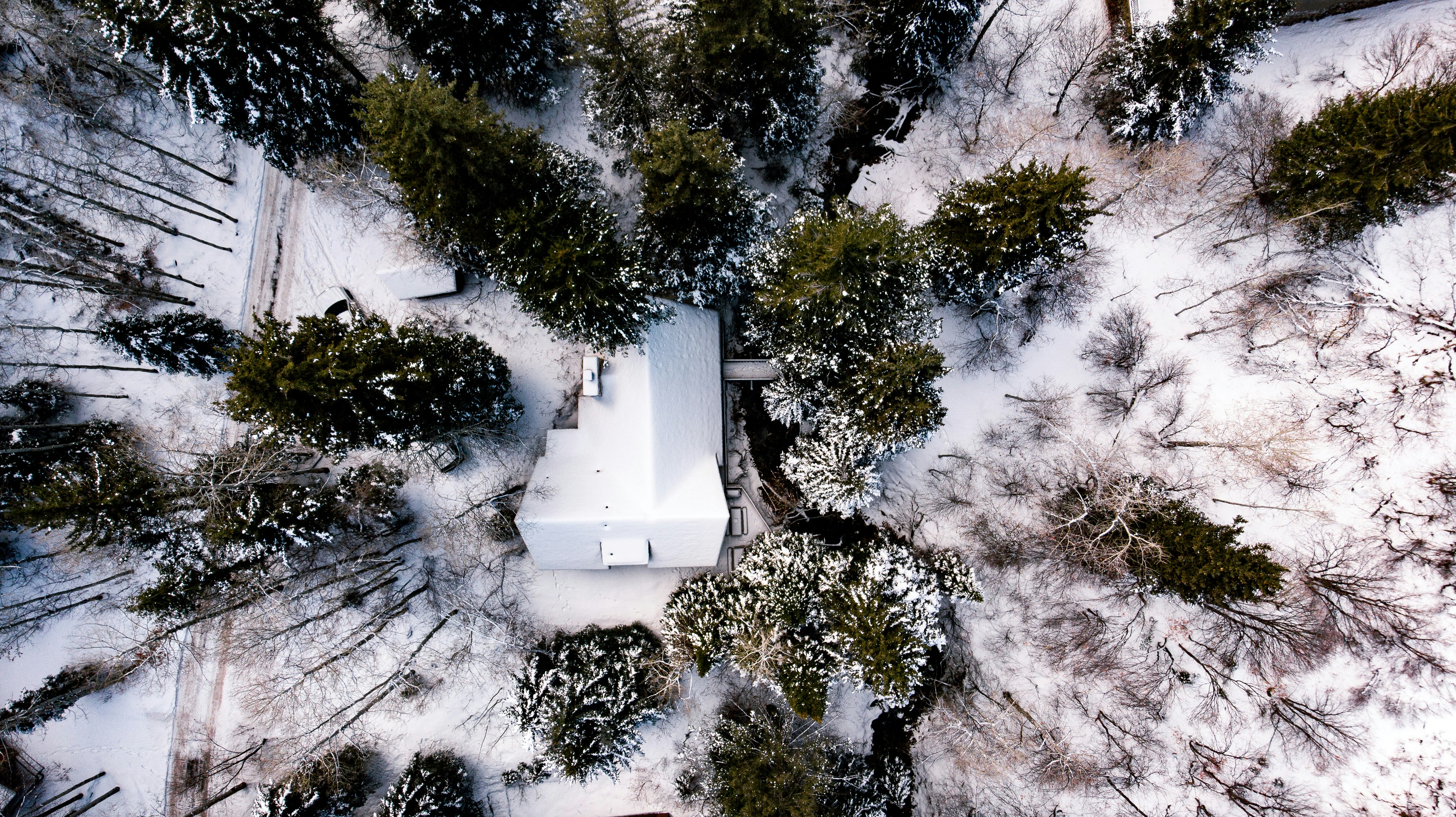 Aerial view of a snow-covered cabin surrounded by pine trees in a wintry landscape.