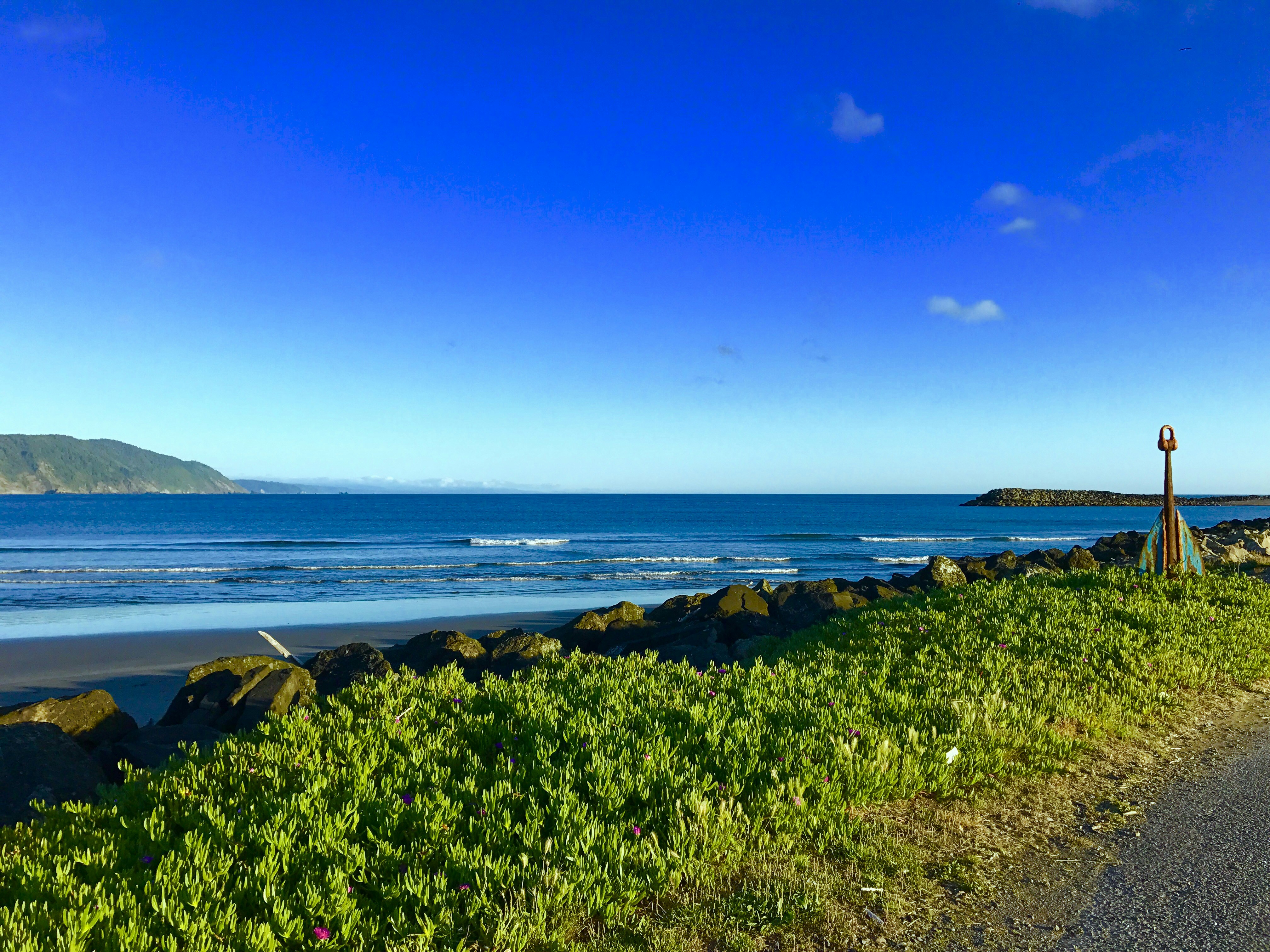 Verdant Edge, Blue Expanse: A Quiet Coastal Vista