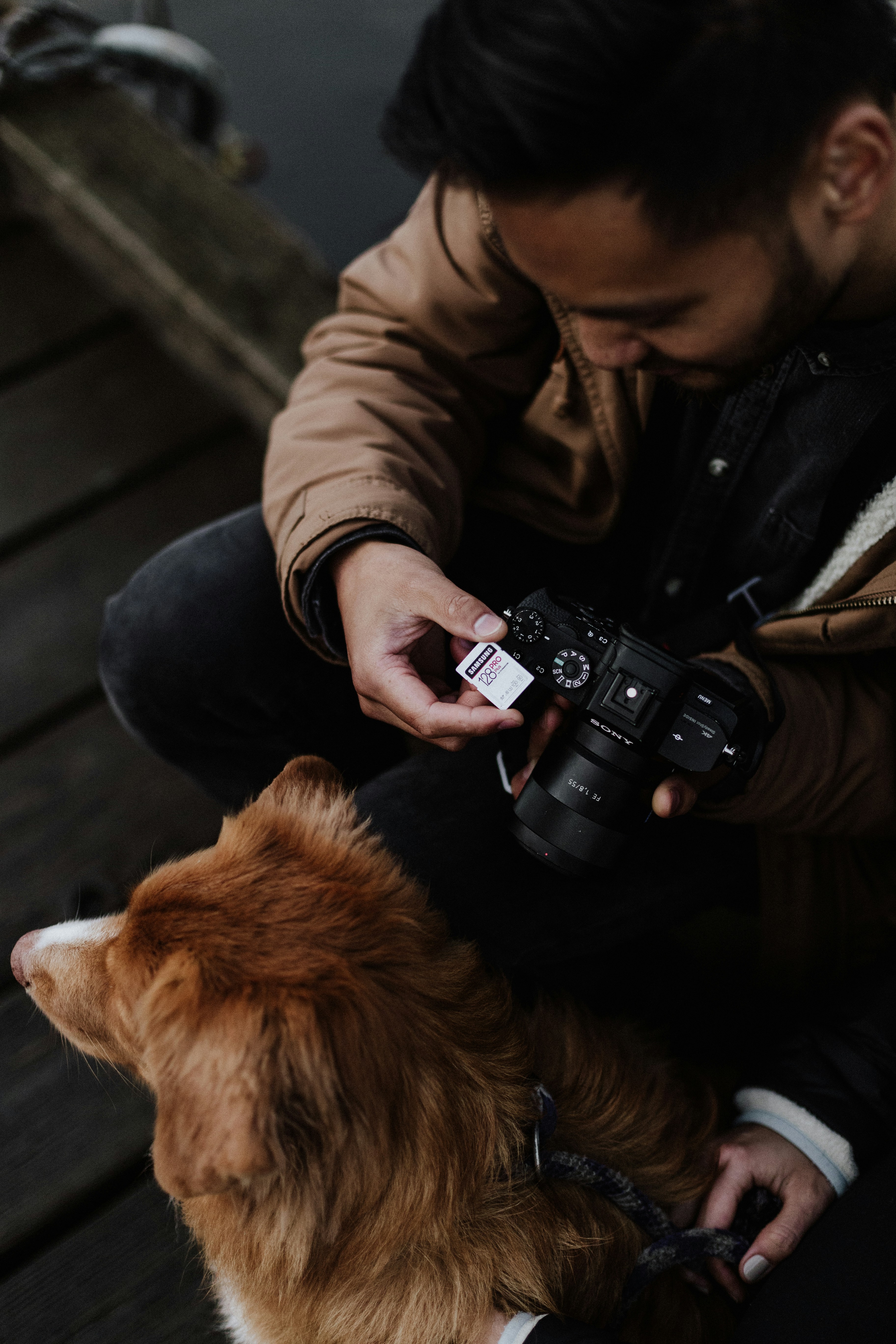 Close-Up of a Photographer Preparing a Card on a Dog’s Quiet Stoop