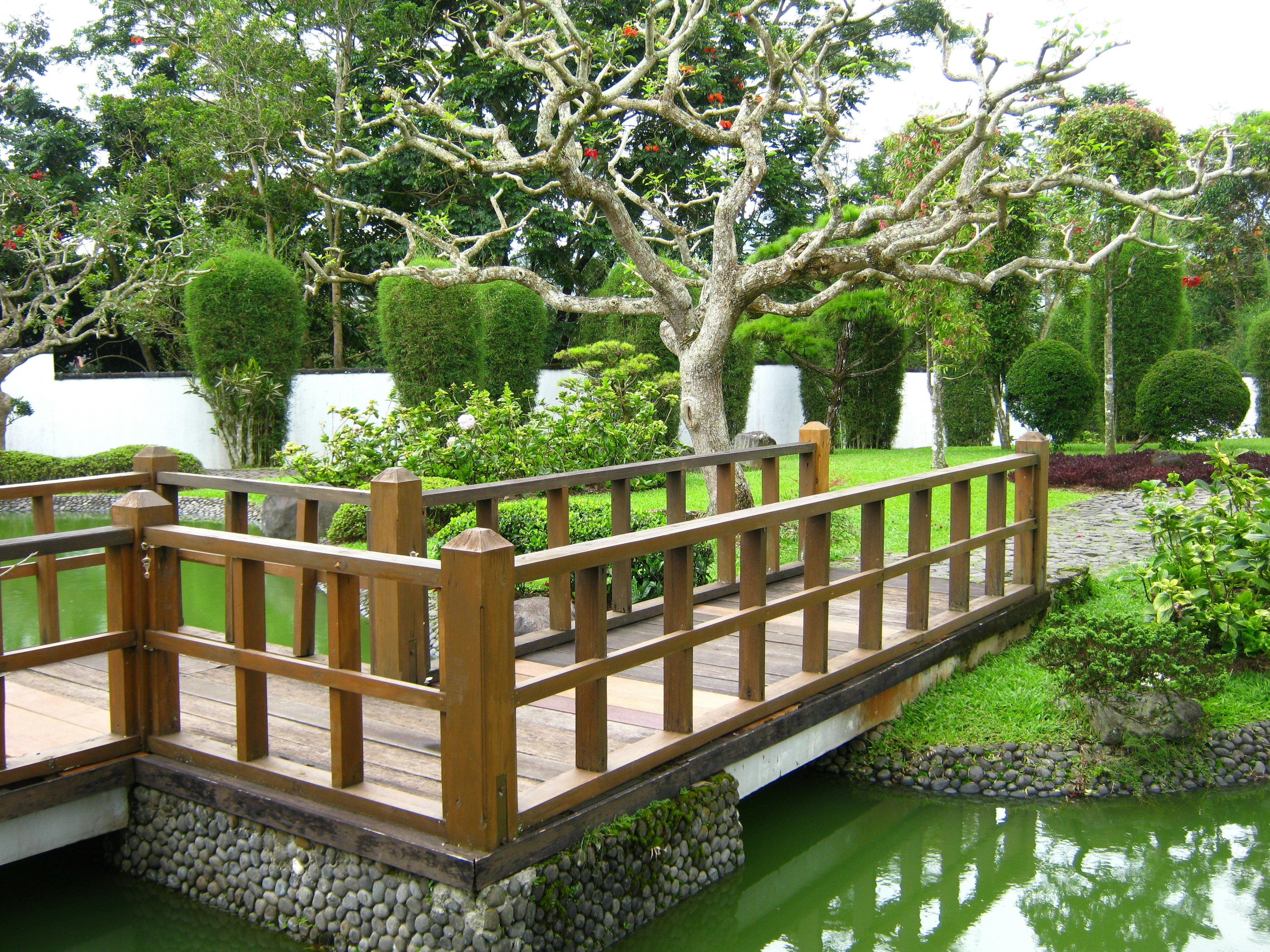 Tranquil Garden Bridge in Verdant Surroundings