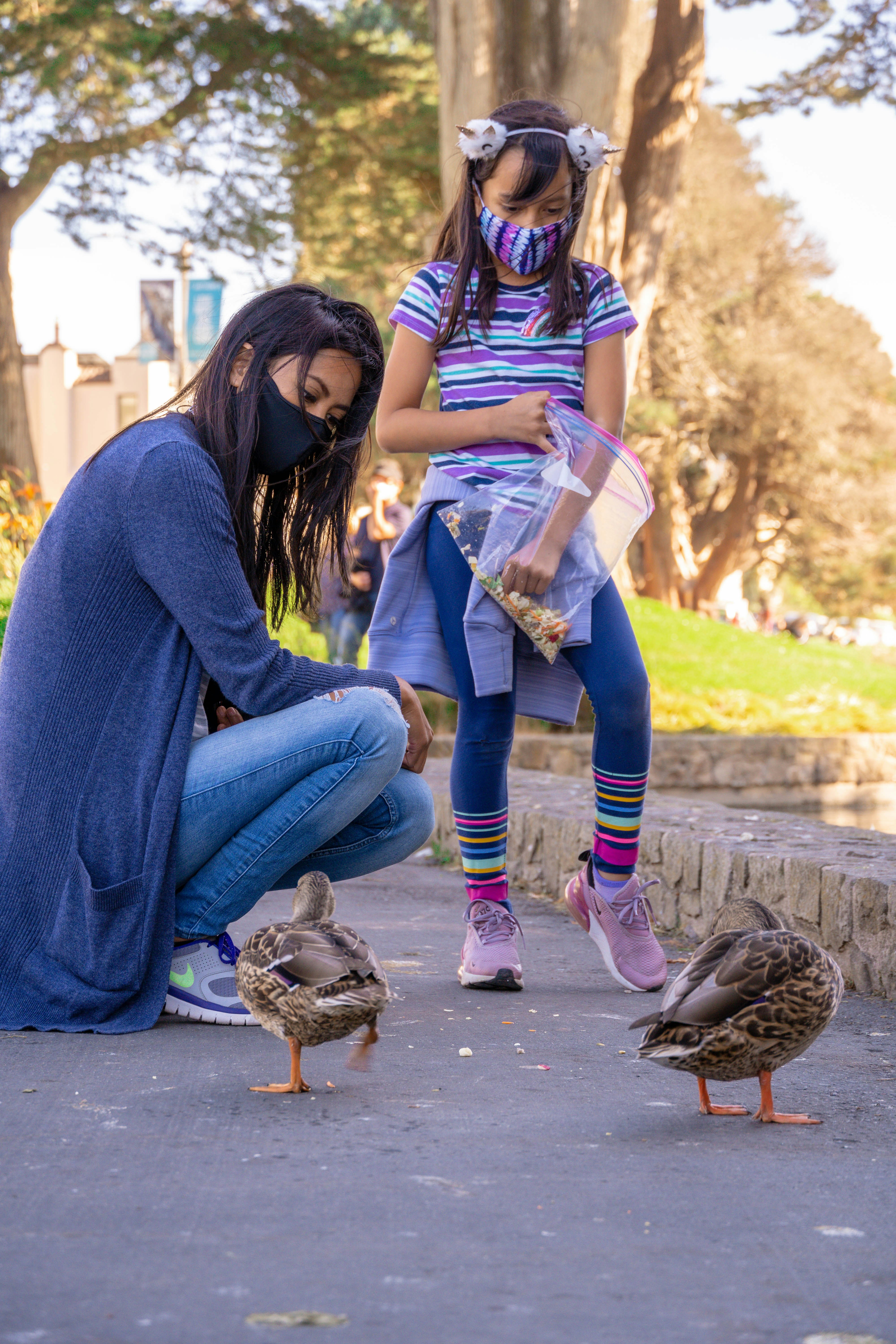 Sunlit Park Moment: A Girl with Snack Bag Guides Ducks