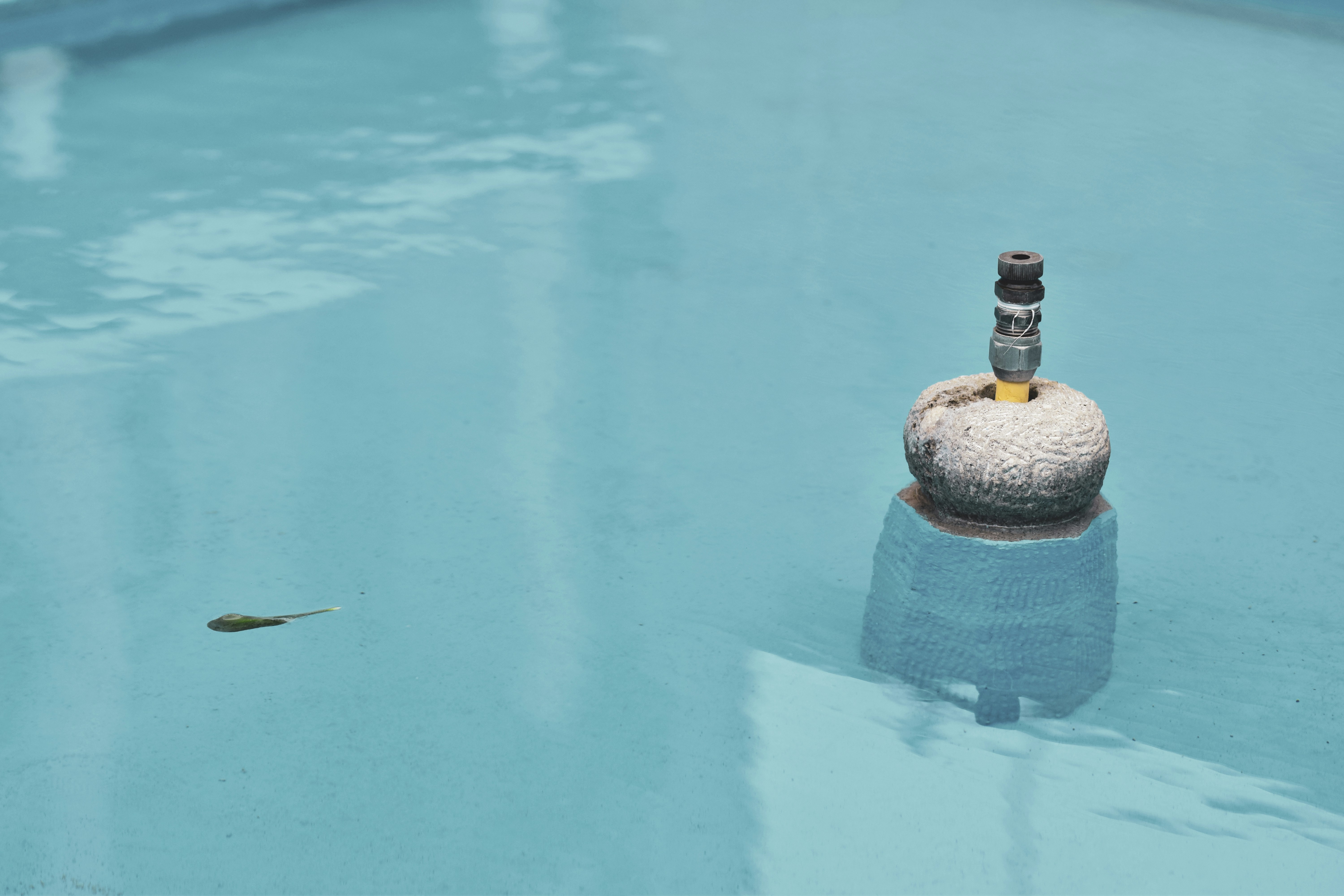 Floating buoy in a tranquil pool with a single leaf nearby.