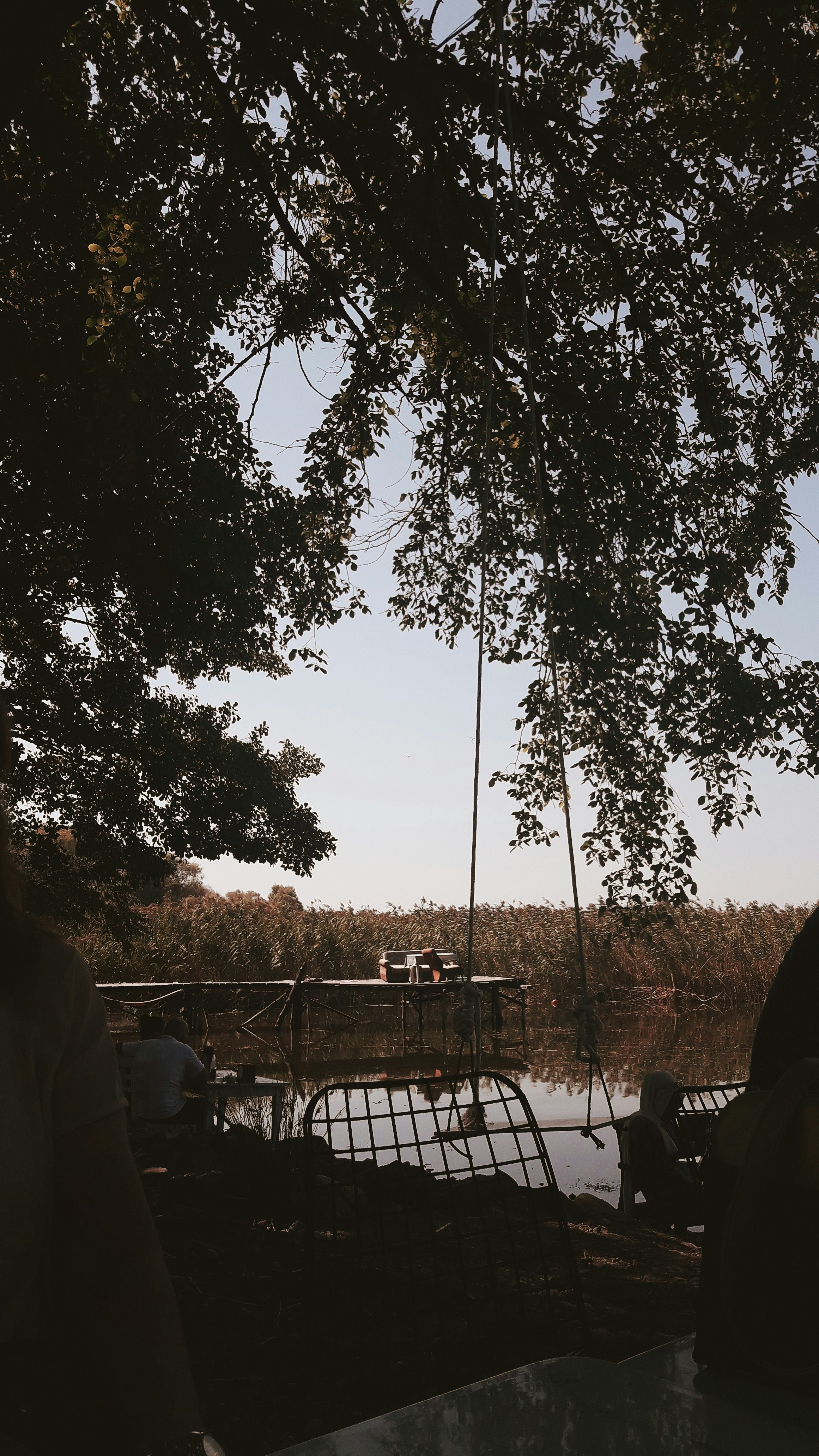 Shaded riverside gathering under hanging branches