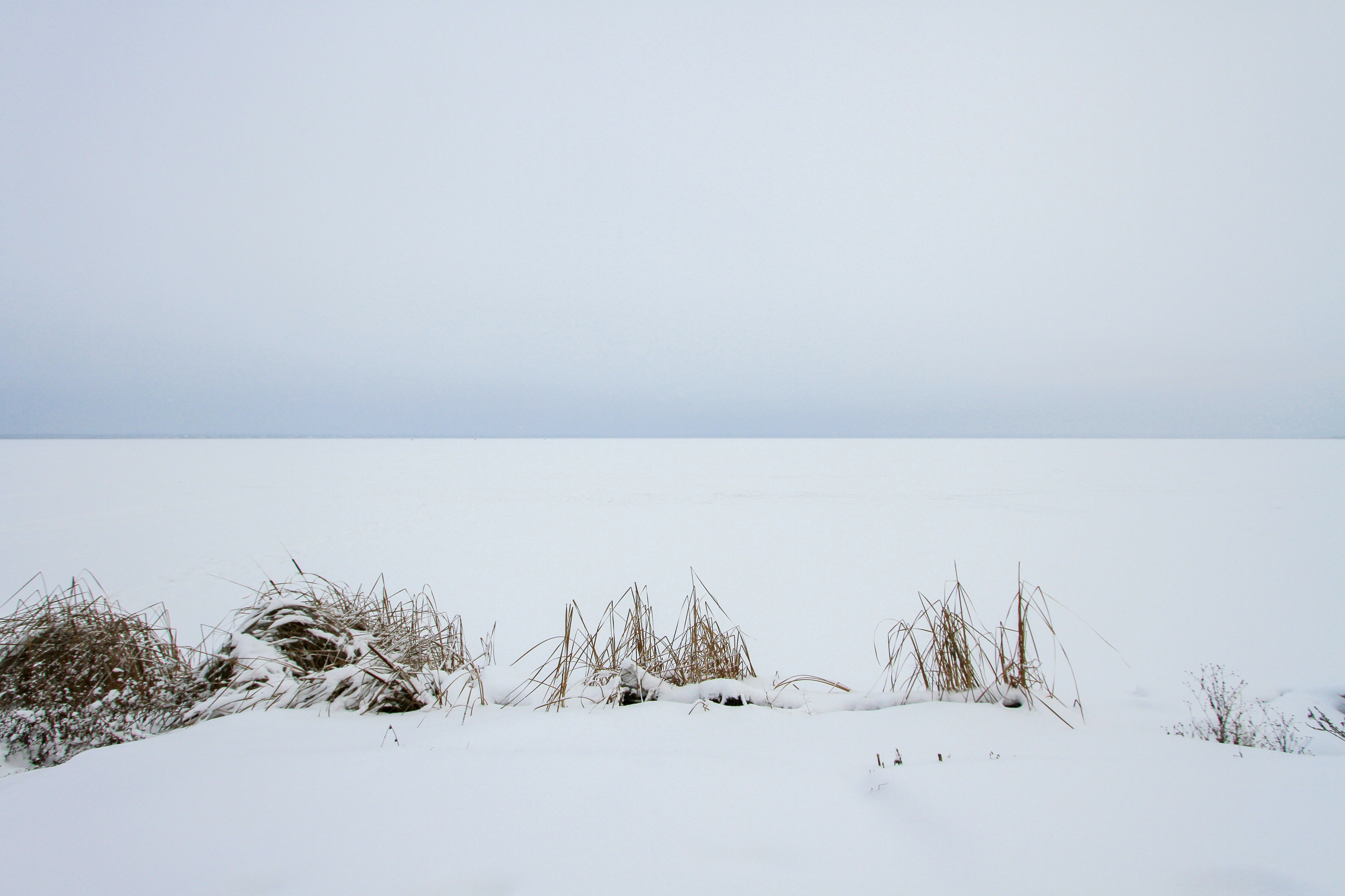 White Landscape Pictures | Download Free Images on Unsplash