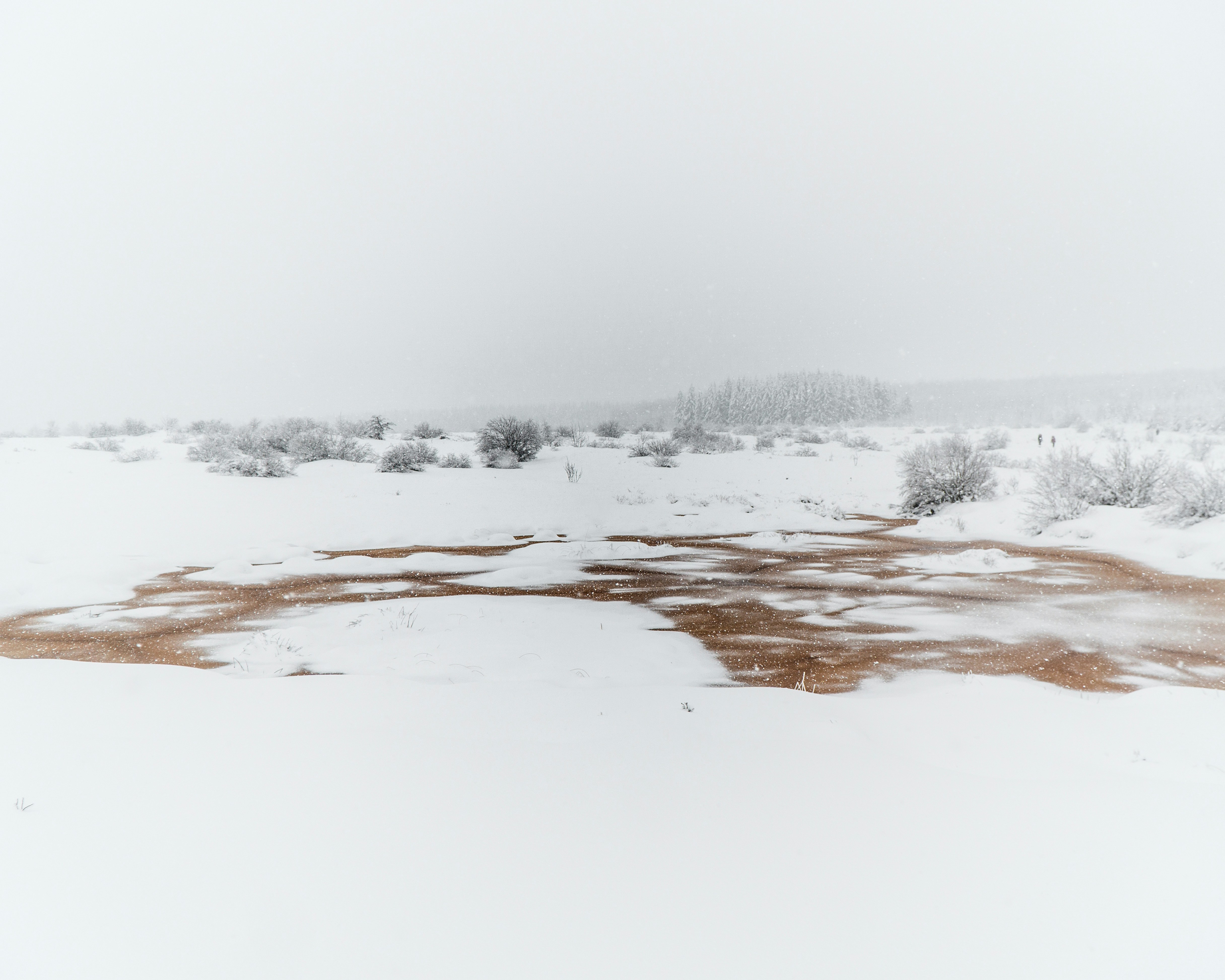Rust Veins Across a Snowbound Plain in Faint Fog