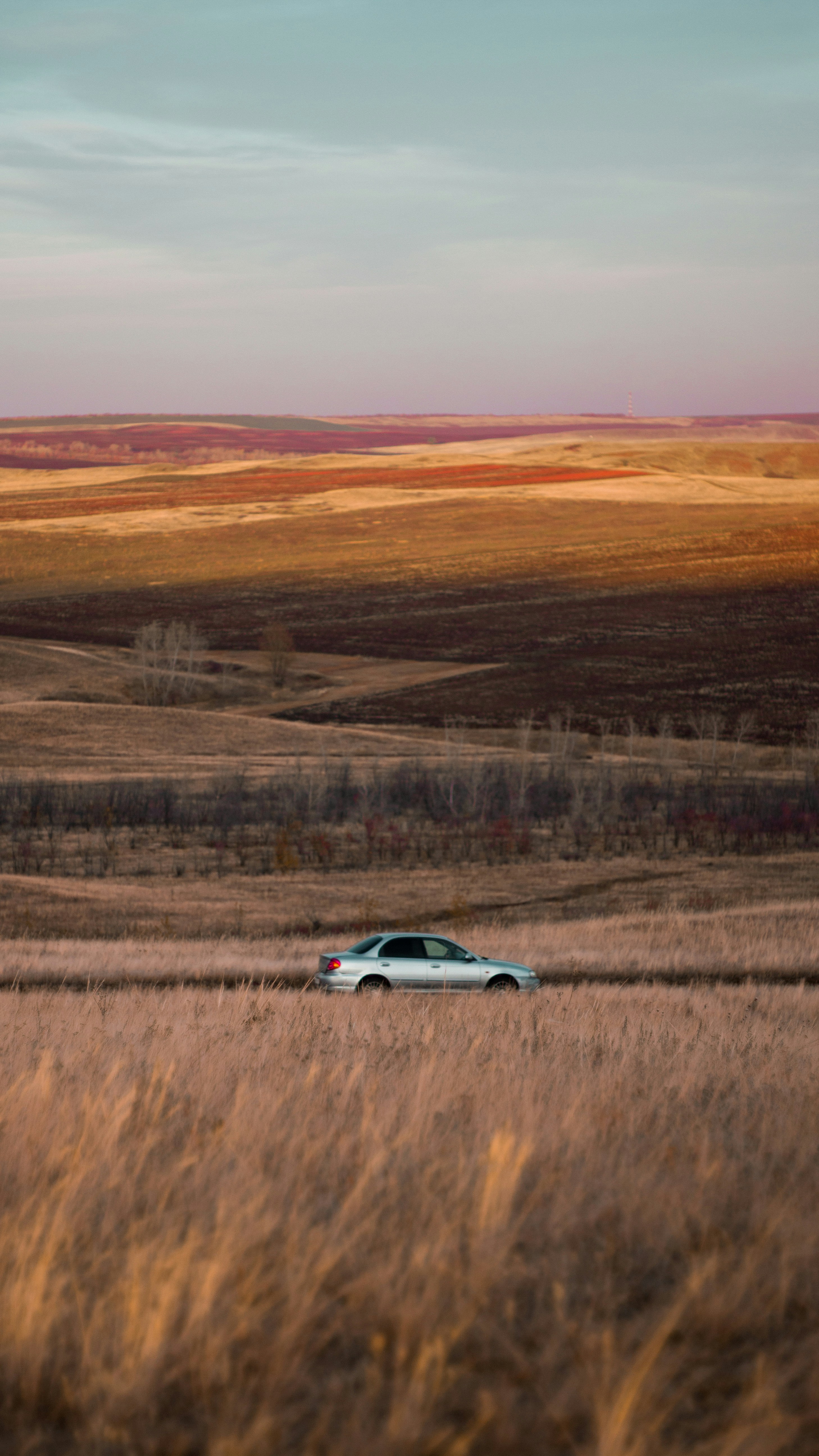 A silver car drives along a winding path through golden grasslands, with rolling hills in the background showcasing autumn hues.