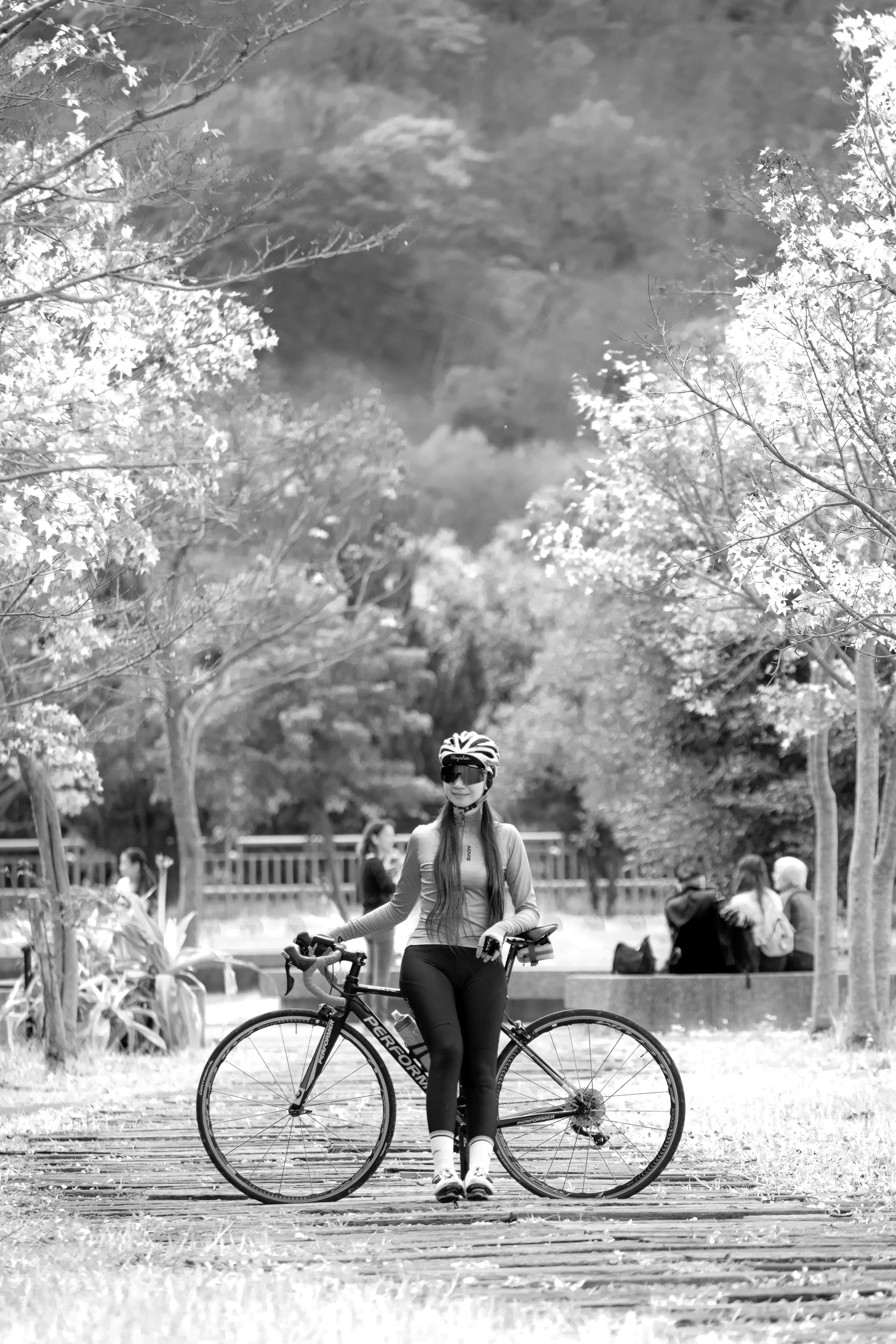 Whispering Parkway: A cyclist pauses with her road bike beneath bloom-dusted trees