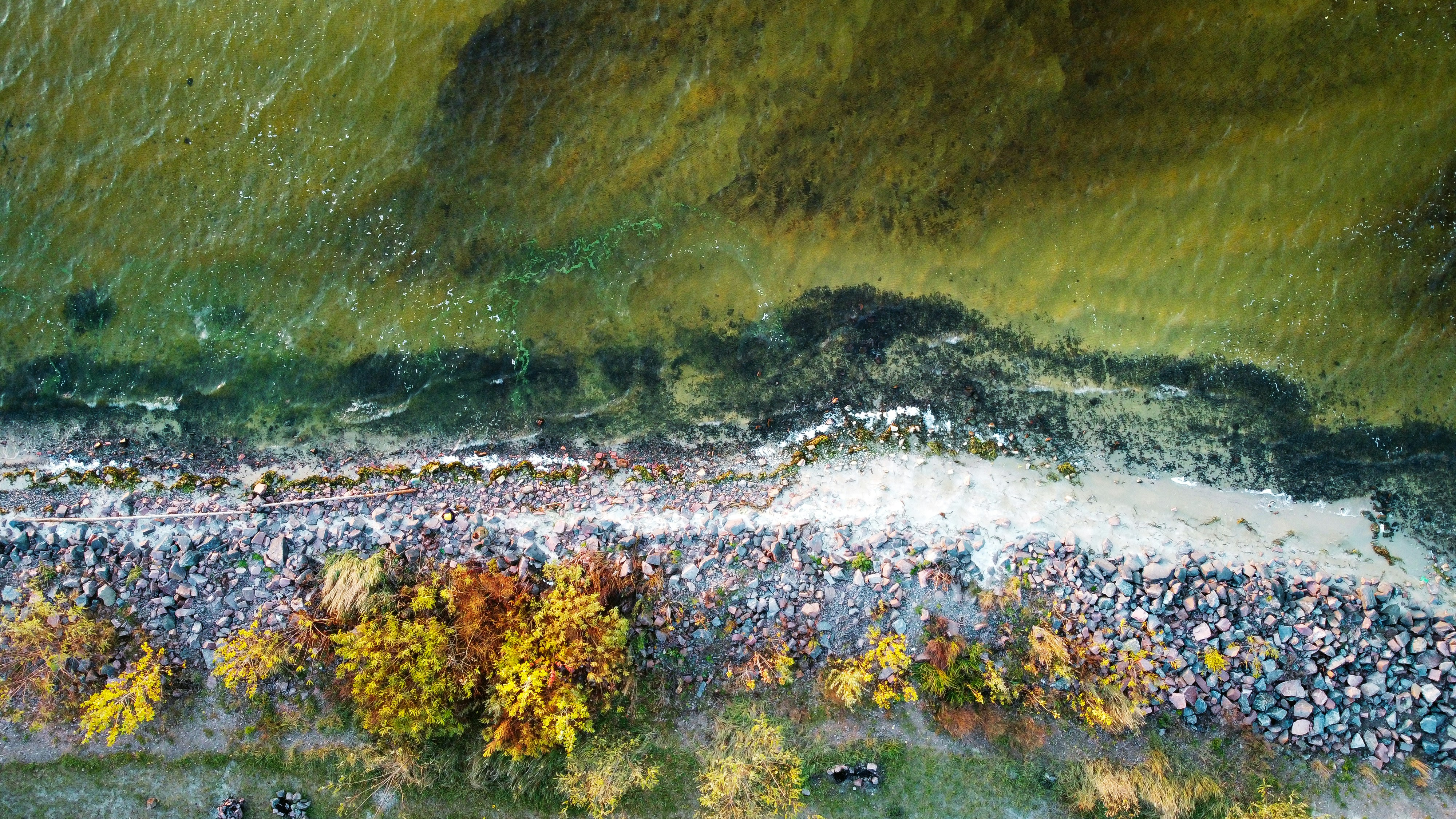 Amber Fringe along a Pebbled Coastline Beneath Turquoise Waters
