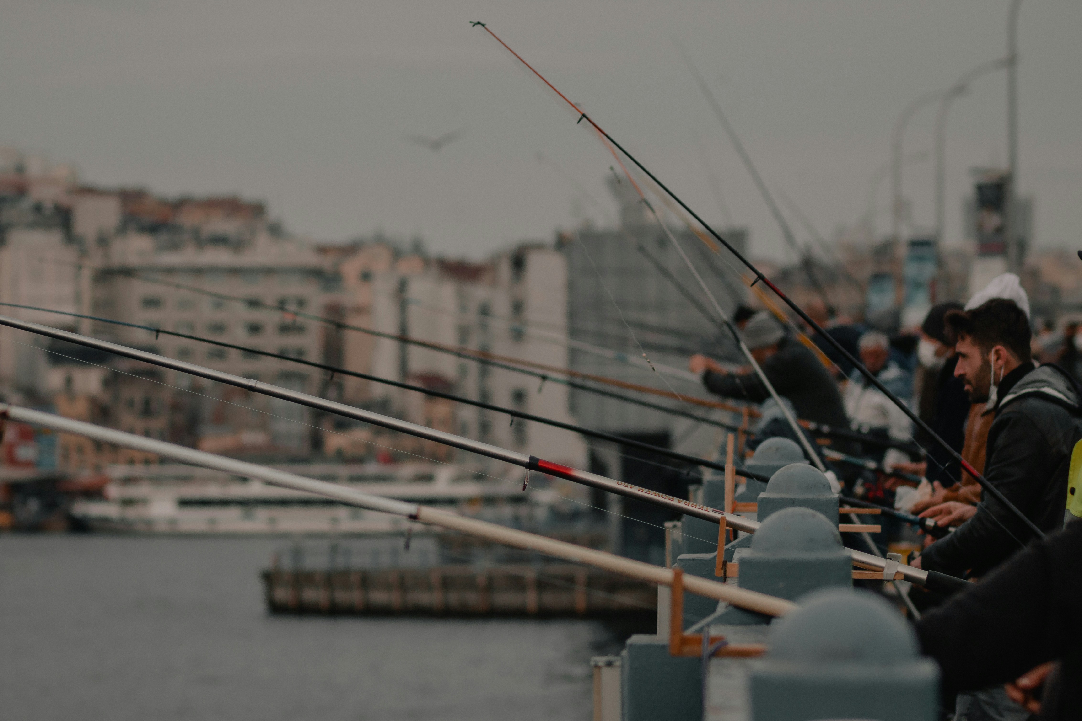 Rods Along the Rail: Harbor Anglers in Soft Focus
