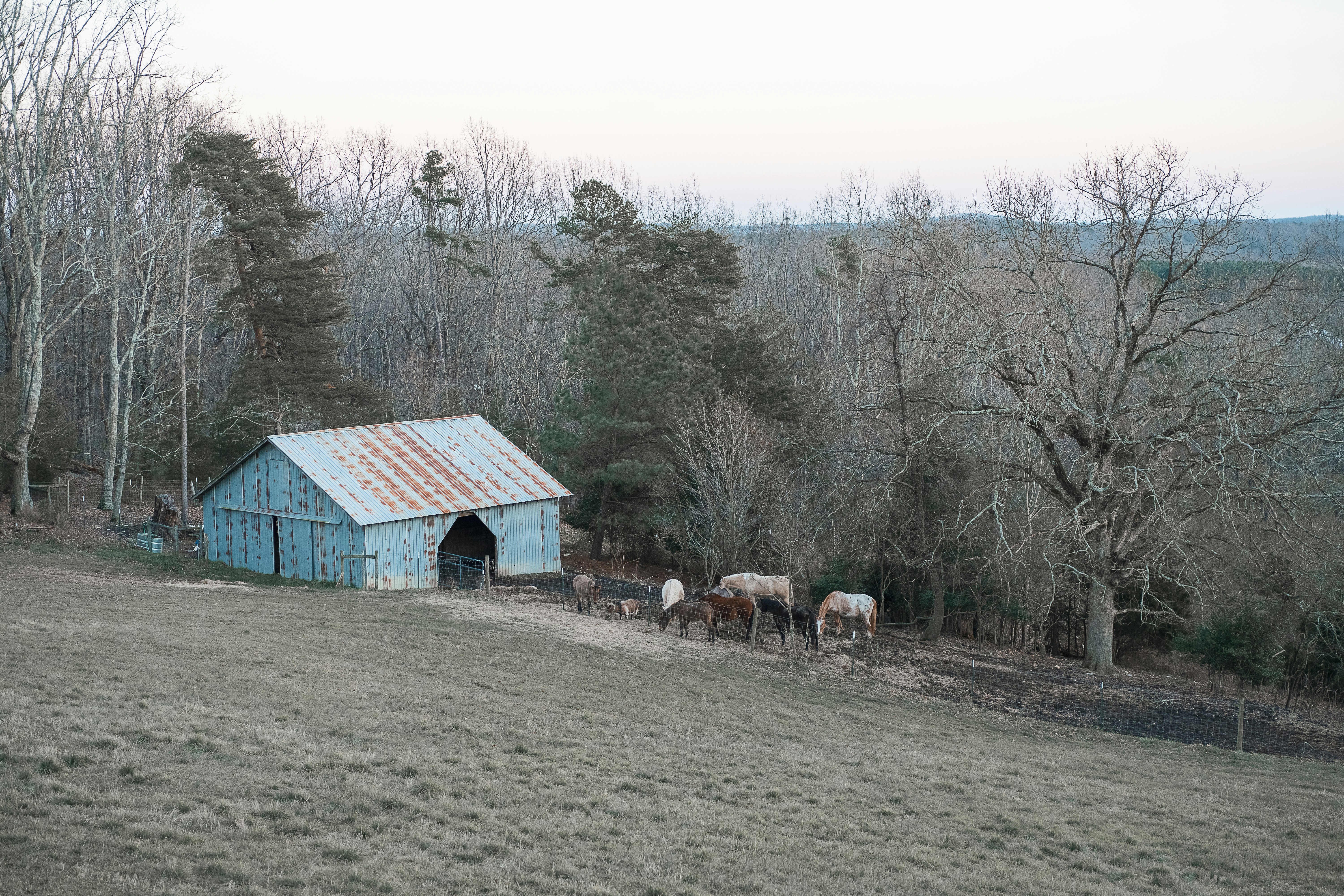 brown and white wooden house near green trees under white sky during daytime
