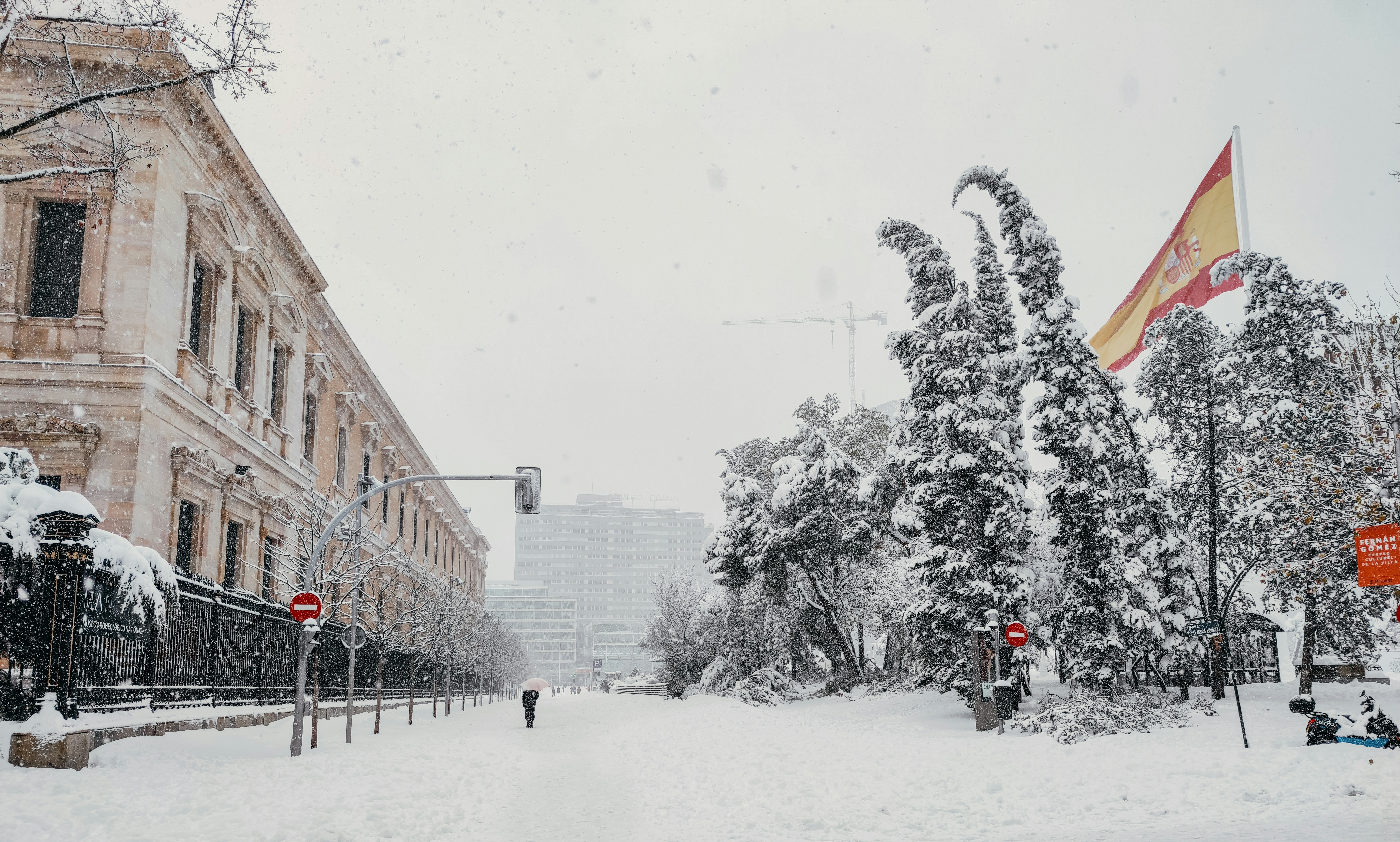 Snow-laden trees line a deserted street in Madrid, with a Spanish flag visible amid the wintry scene.