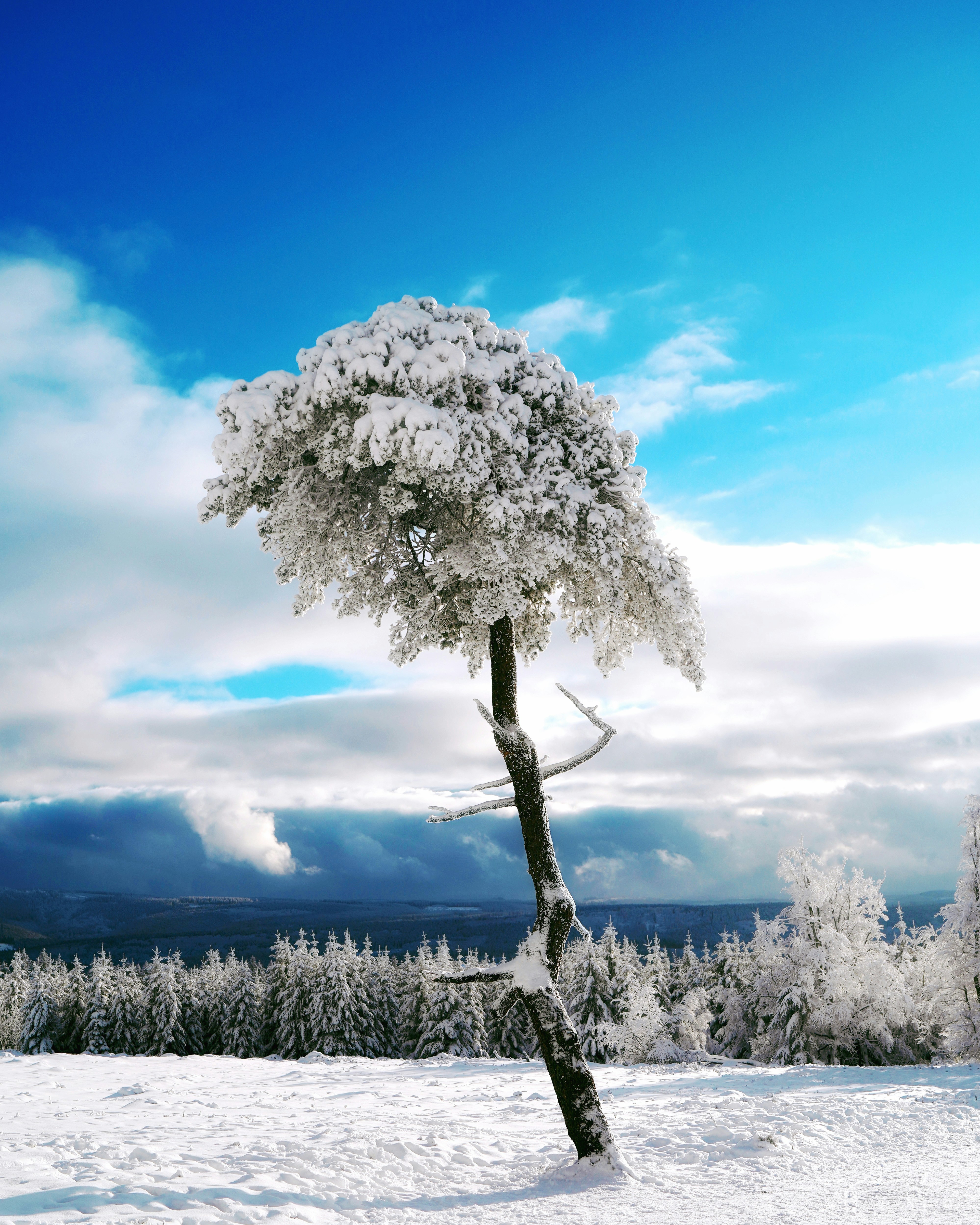 Lock screen Wallpapers - winter | 57 best free wallpaper, winter, snow ...