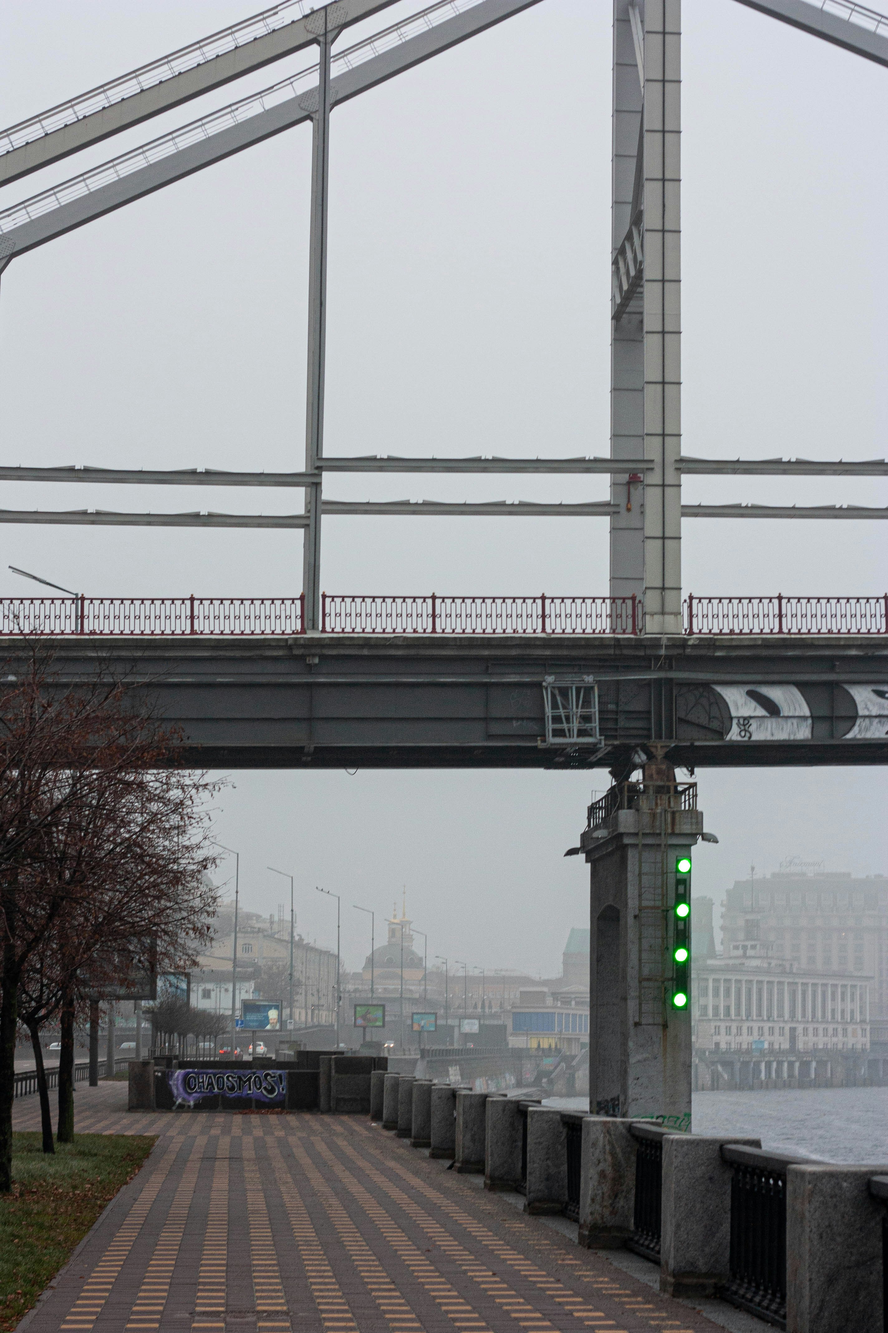 Urban Serenity Beneath the Bridge