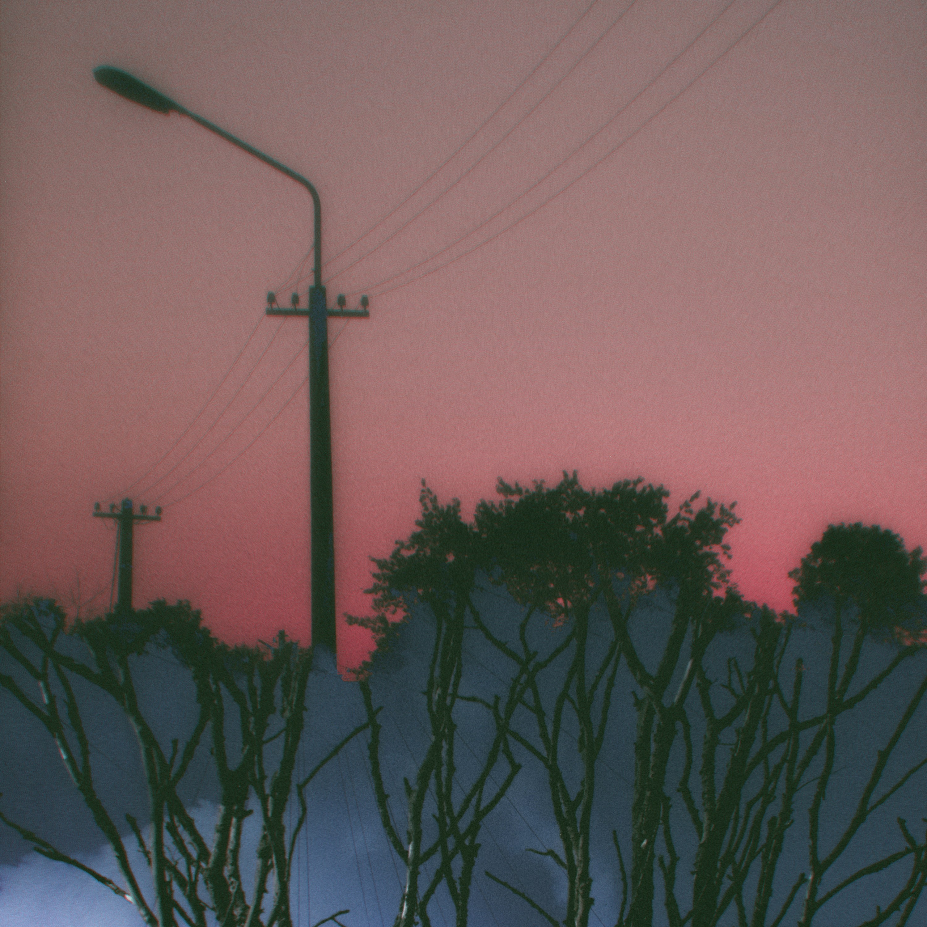 Sublimation Pictures | Download Free Images on Unsplash