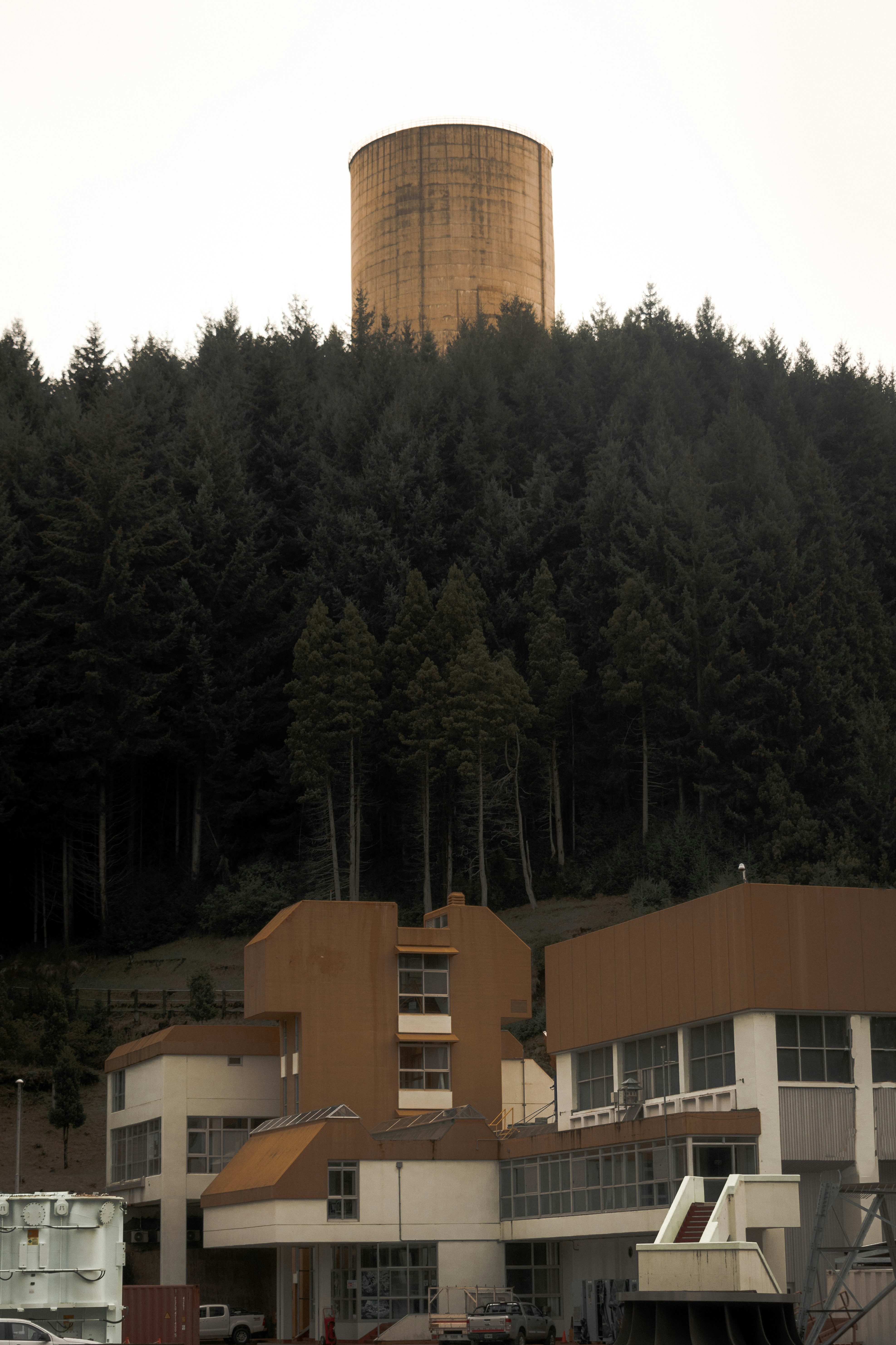 Tower Above the Pines: A Quiet Industrial Crest