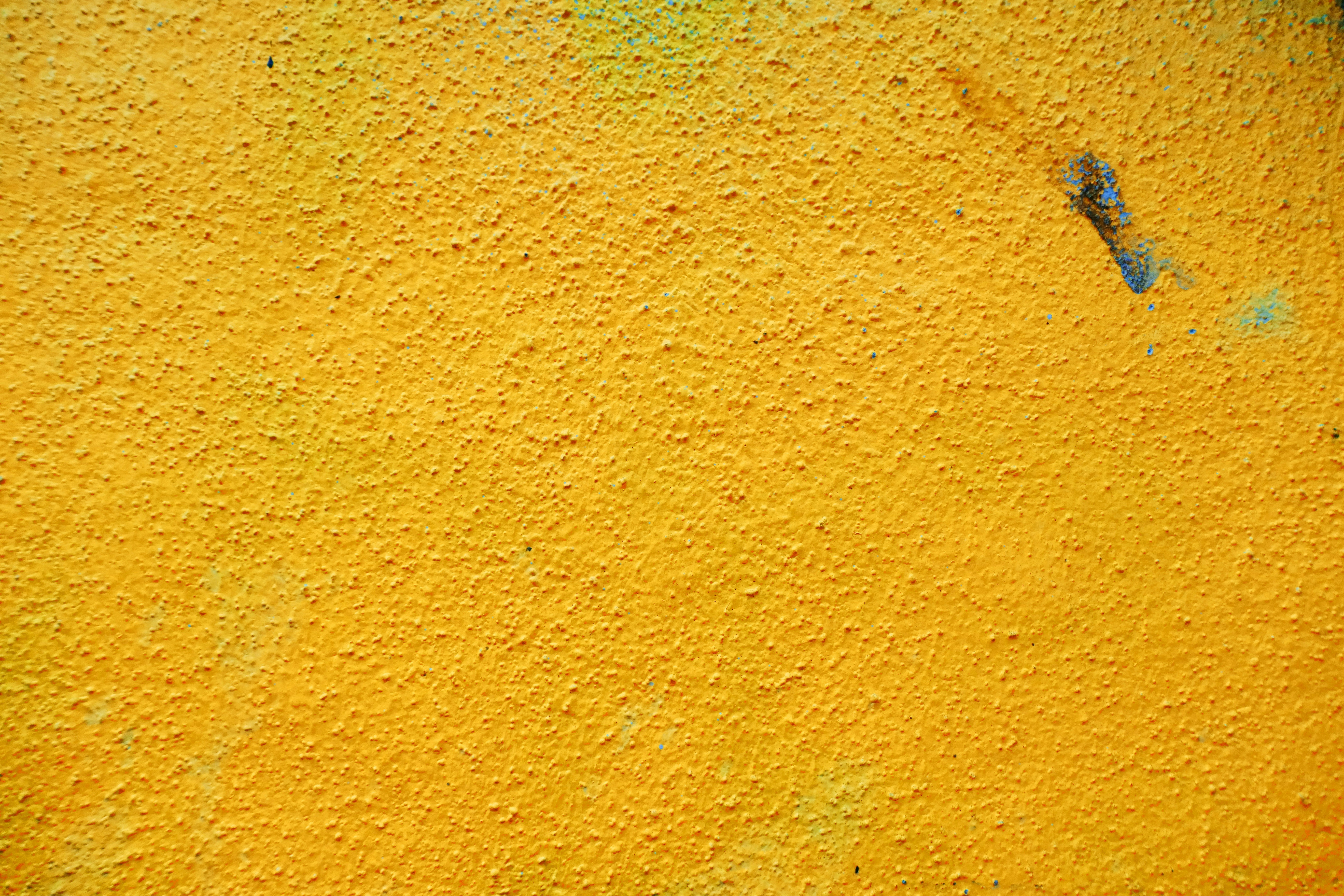 Yellow Wallpaper Pictures | Download Free Images on Unsplash