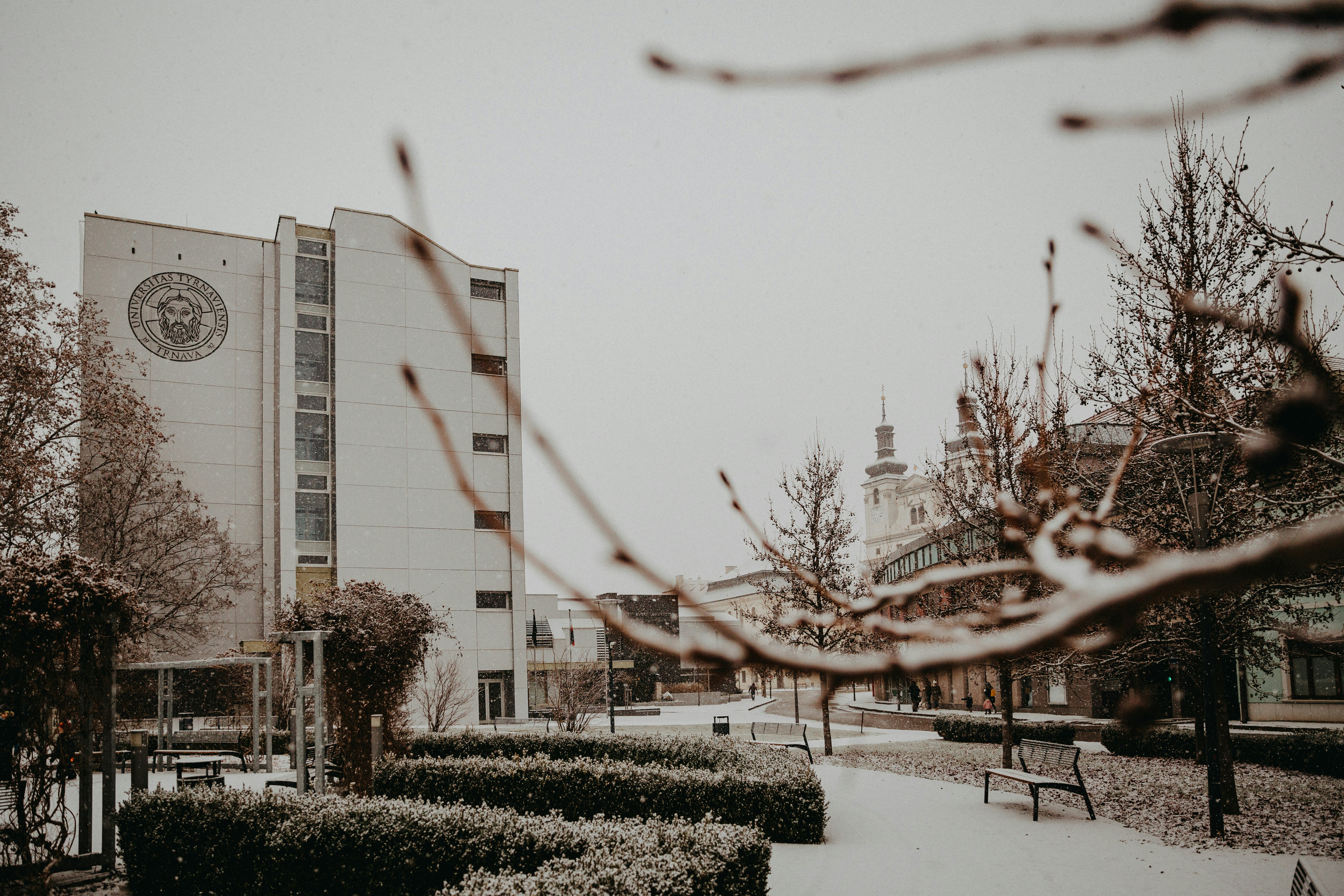 White concrete building near trees during daytime photo – Free Grey ...