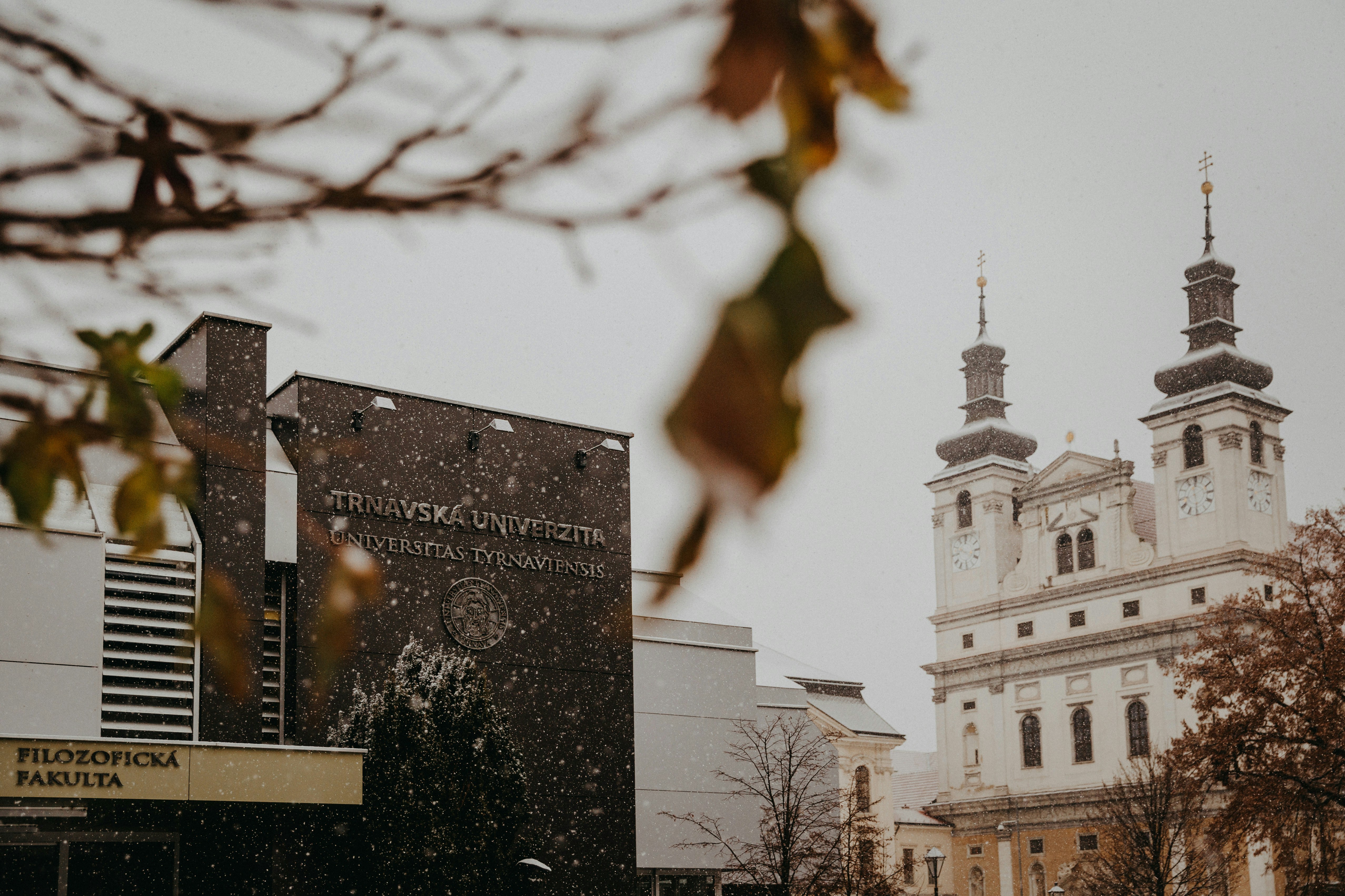 Trnava University (@trnavskauni) | Unsplash Photo Community