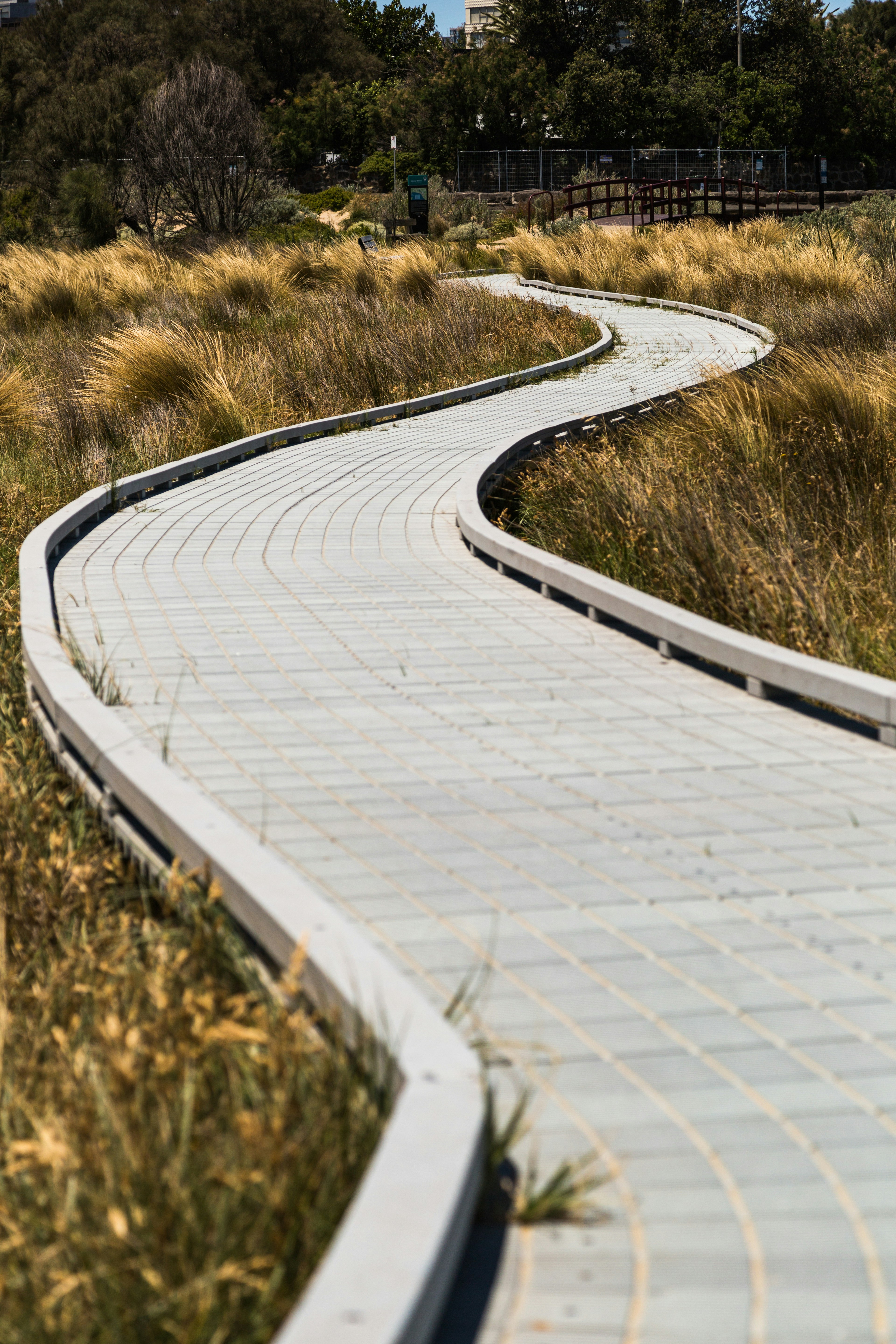 Curving Boardwalk Through Golden Grassland Toward a Quiet Park Bridge