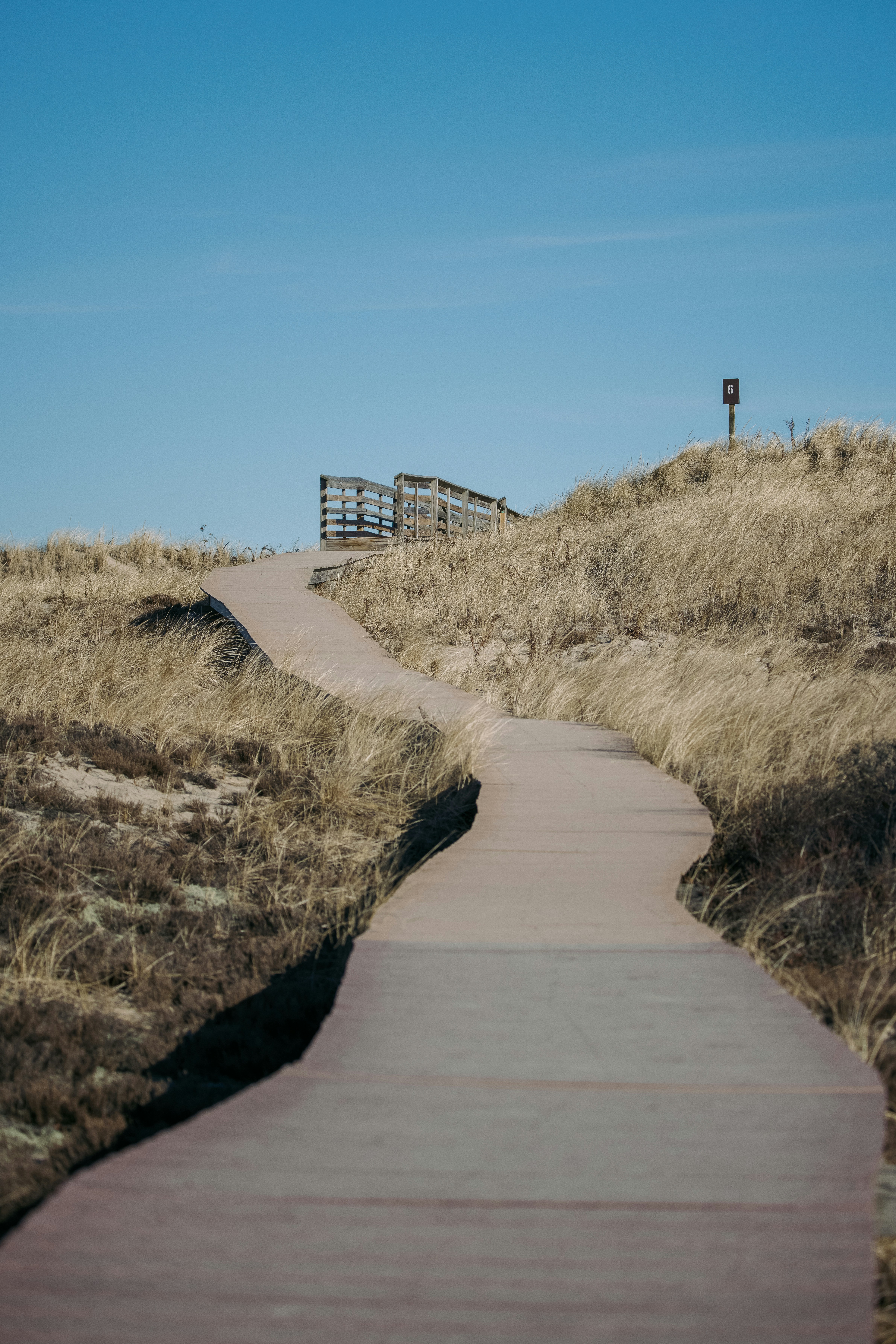 Brown wooden pathway between brown grass field under blue sky during ...