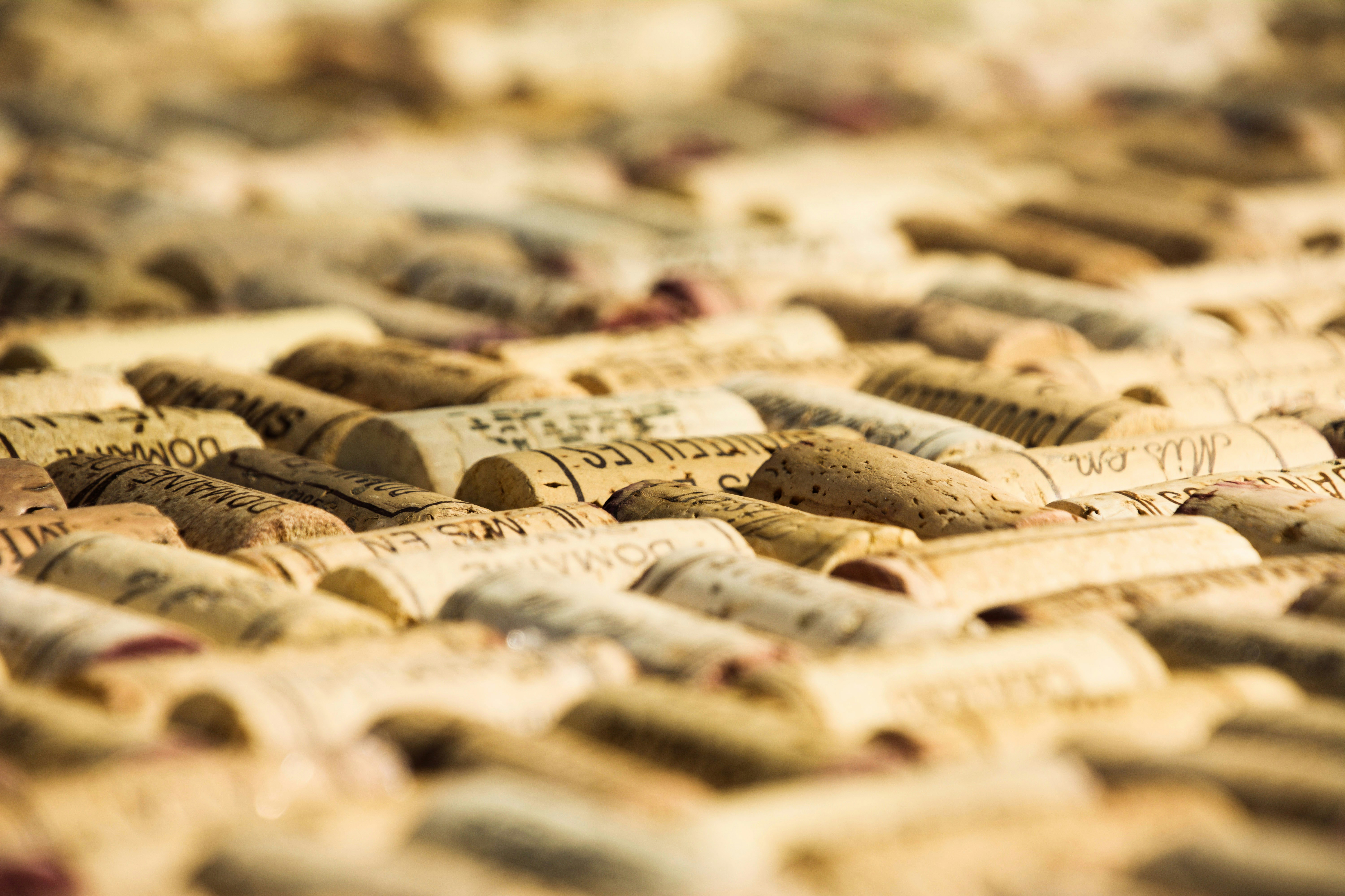 Foreground of rolled newspapers in warm, sunlit clutter