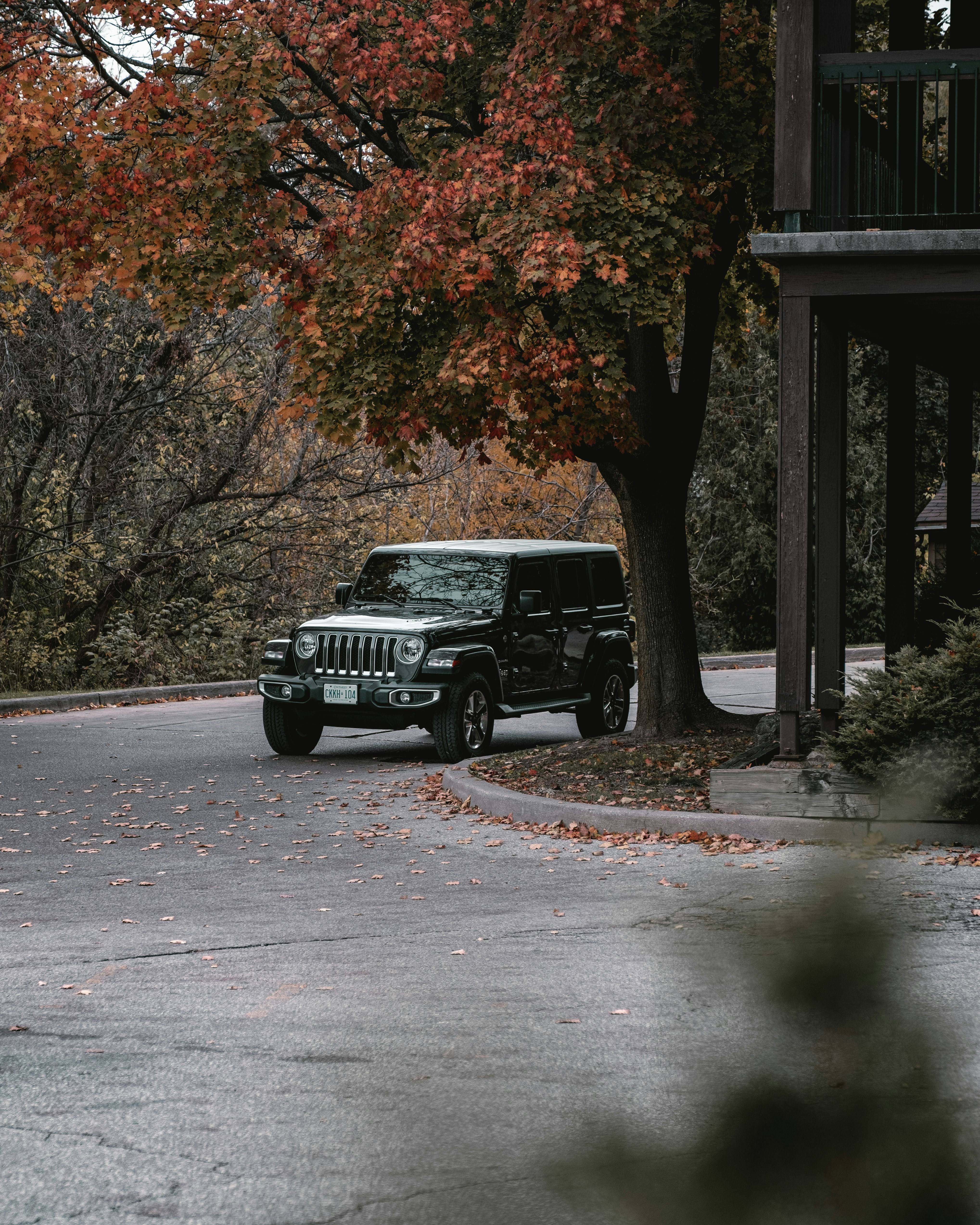 Autumn Turn: A Jeep Pauses Under Scarlet Canopy