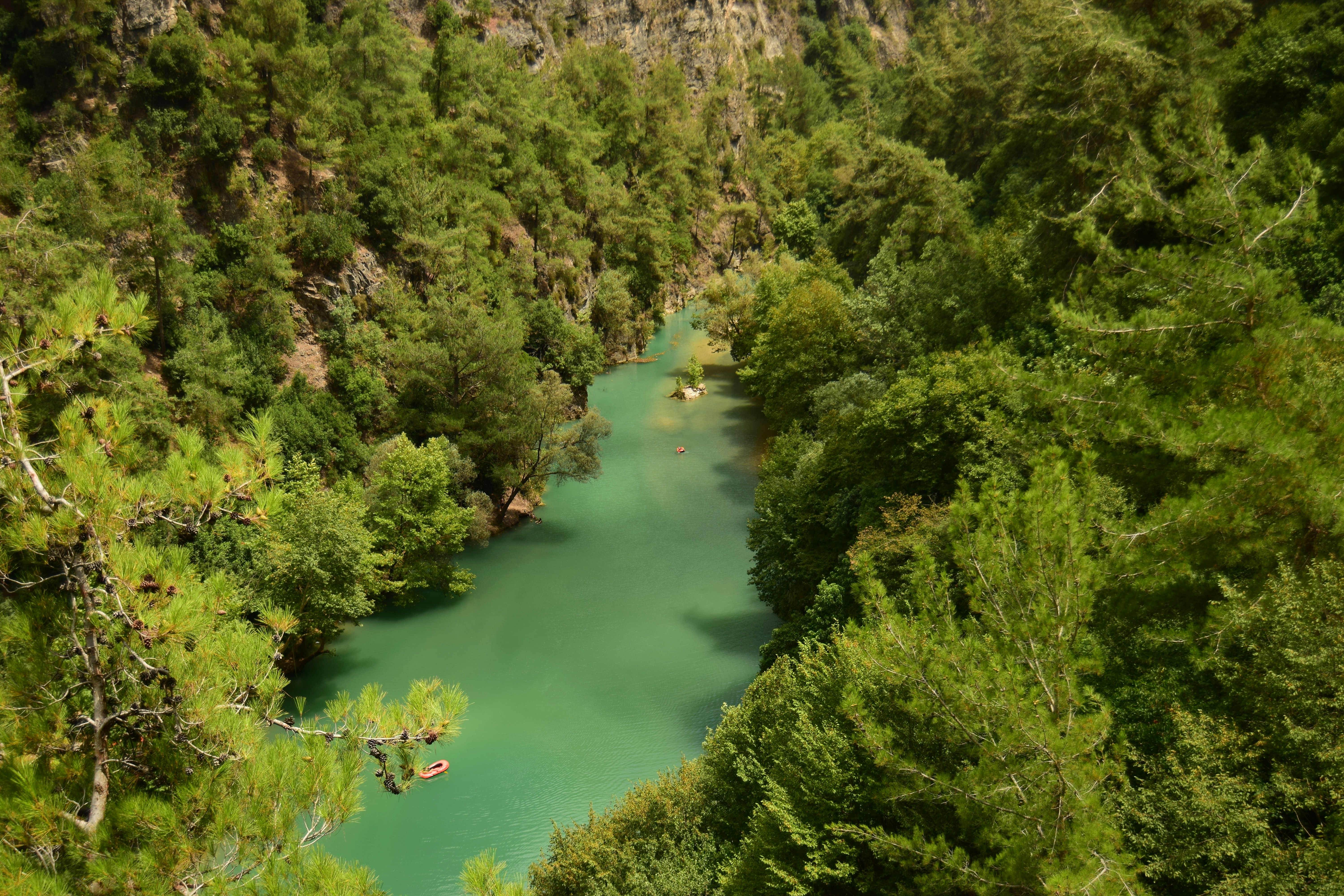 A turquoise river winds through a dense forest of lush green pine trees under a clear sky.