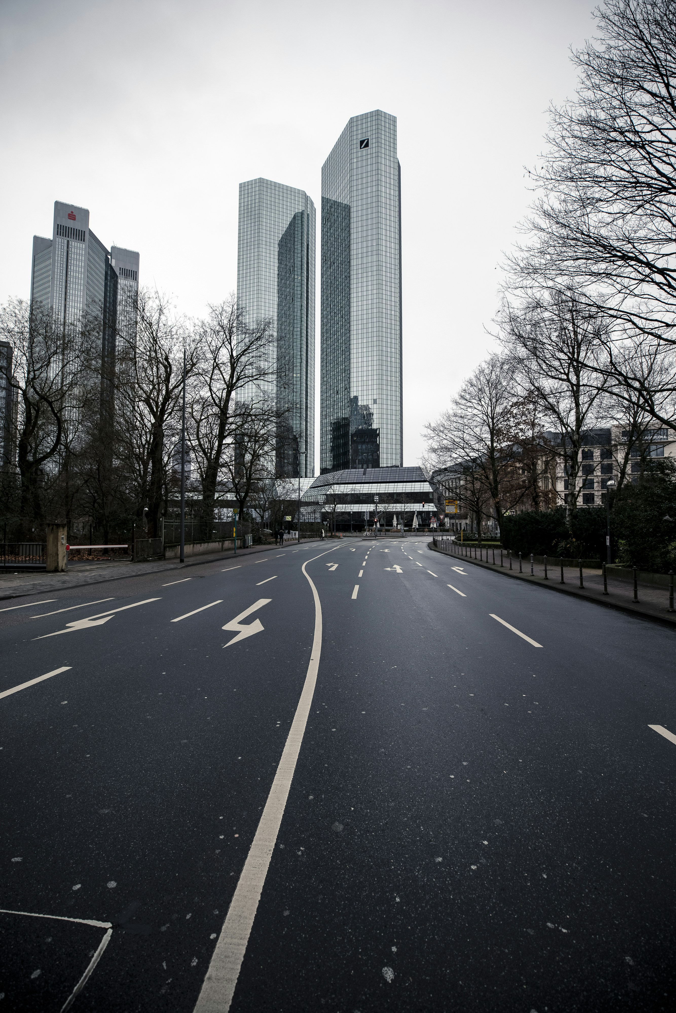 Quiet Boulevard Converges on Glass Monoliths