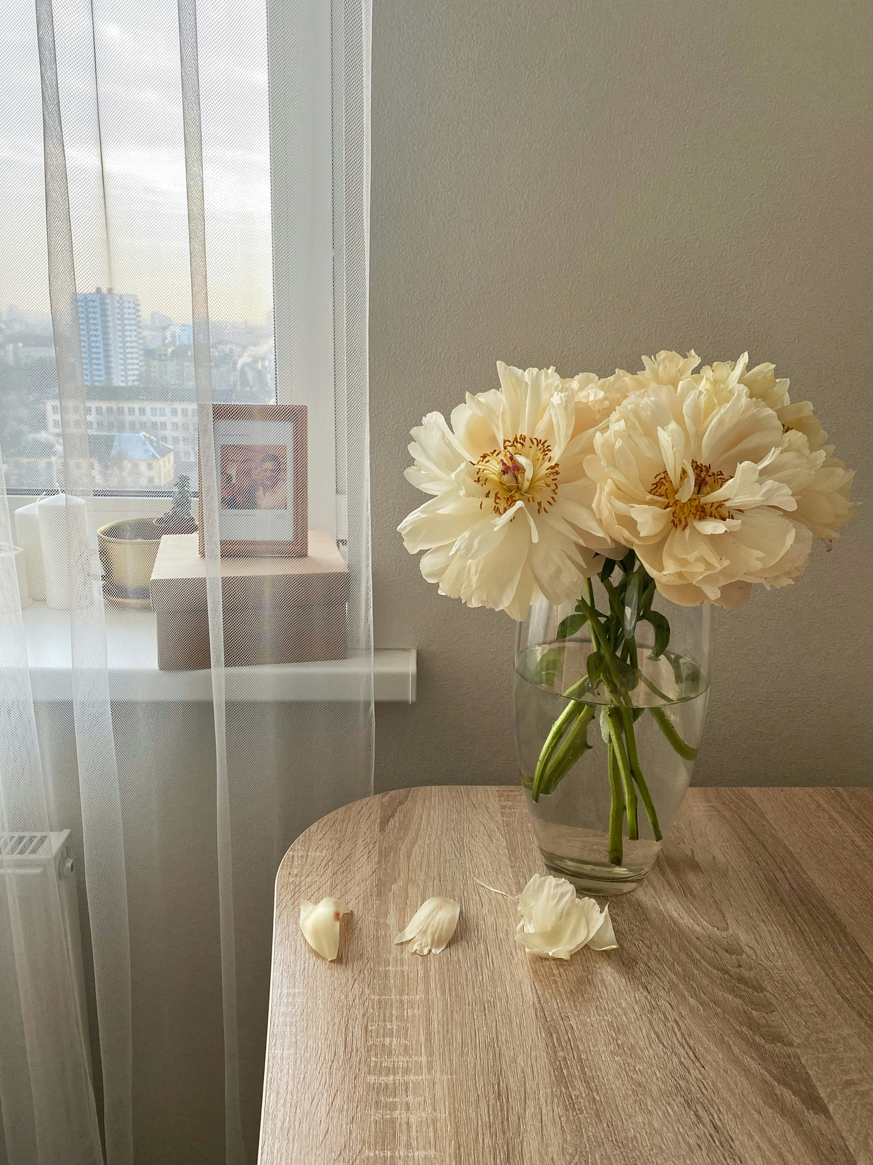 Vase of Cream Peonies on a Sunlit Wooden Table