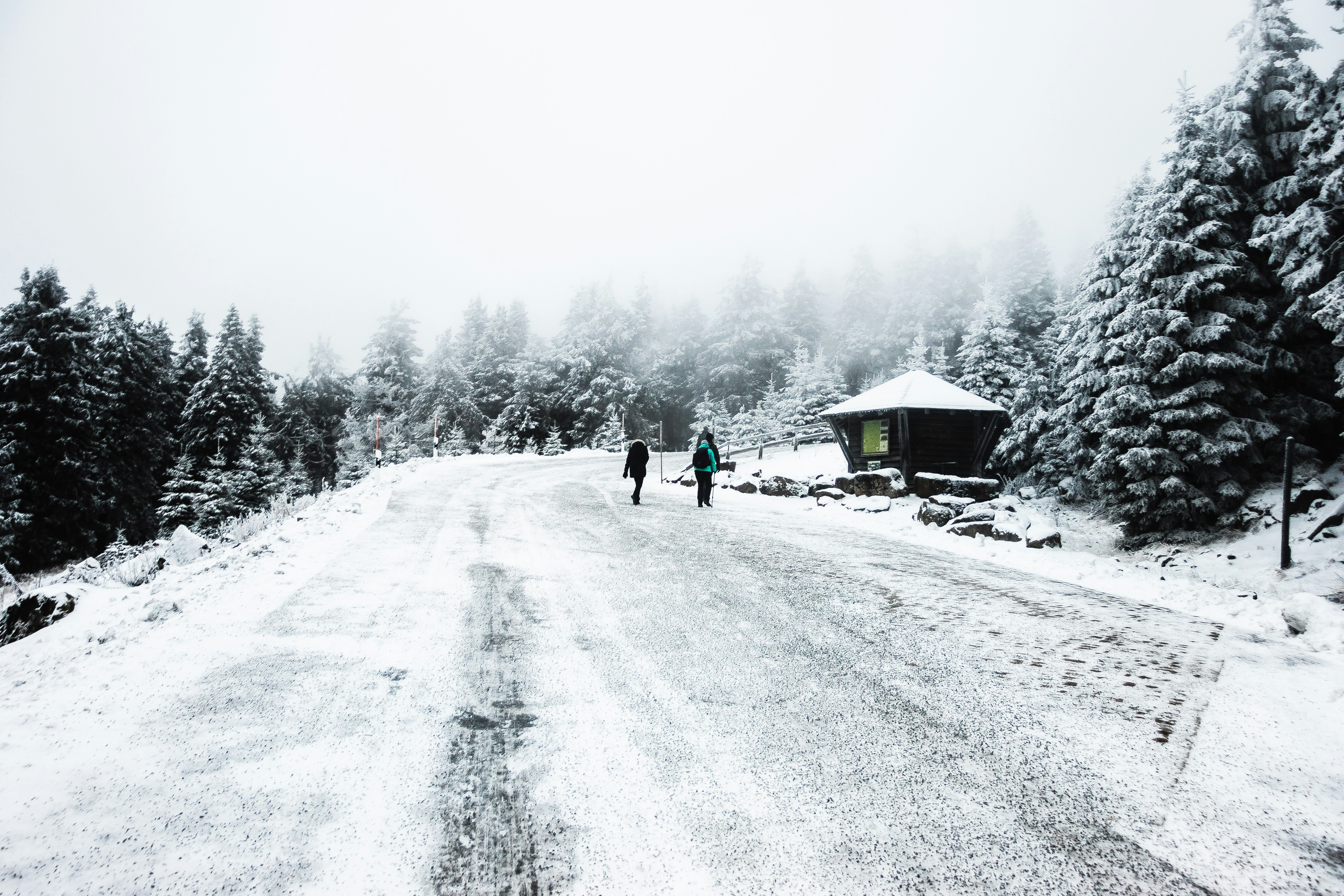 Snow-covered road leading to a misty forest with two figures walking towards a small cabin.