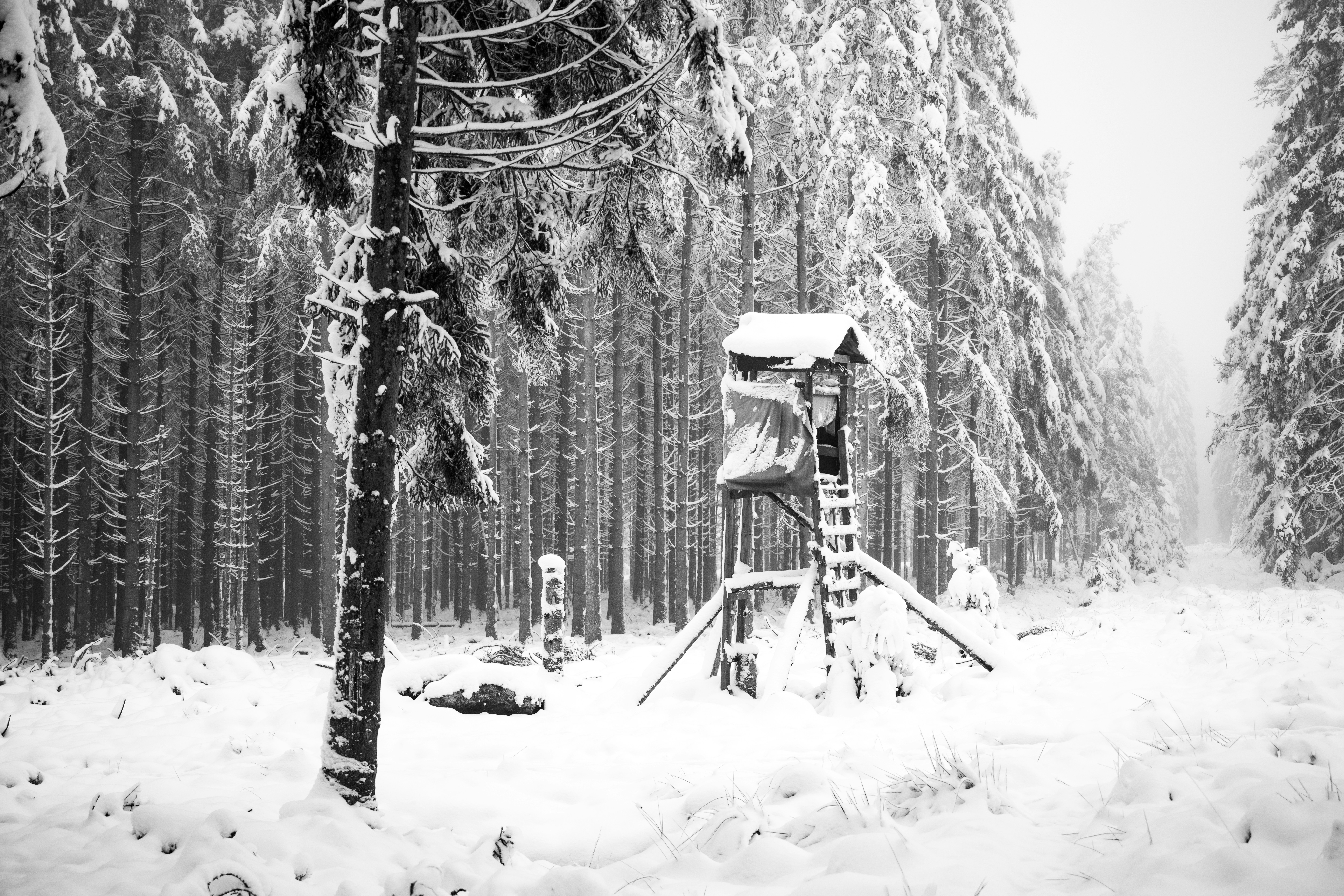 A hunting tower stands tall in a snow-covered forest, surrounded by tall, frosted trees. The scene evokes a sense of solitude and tranquility.