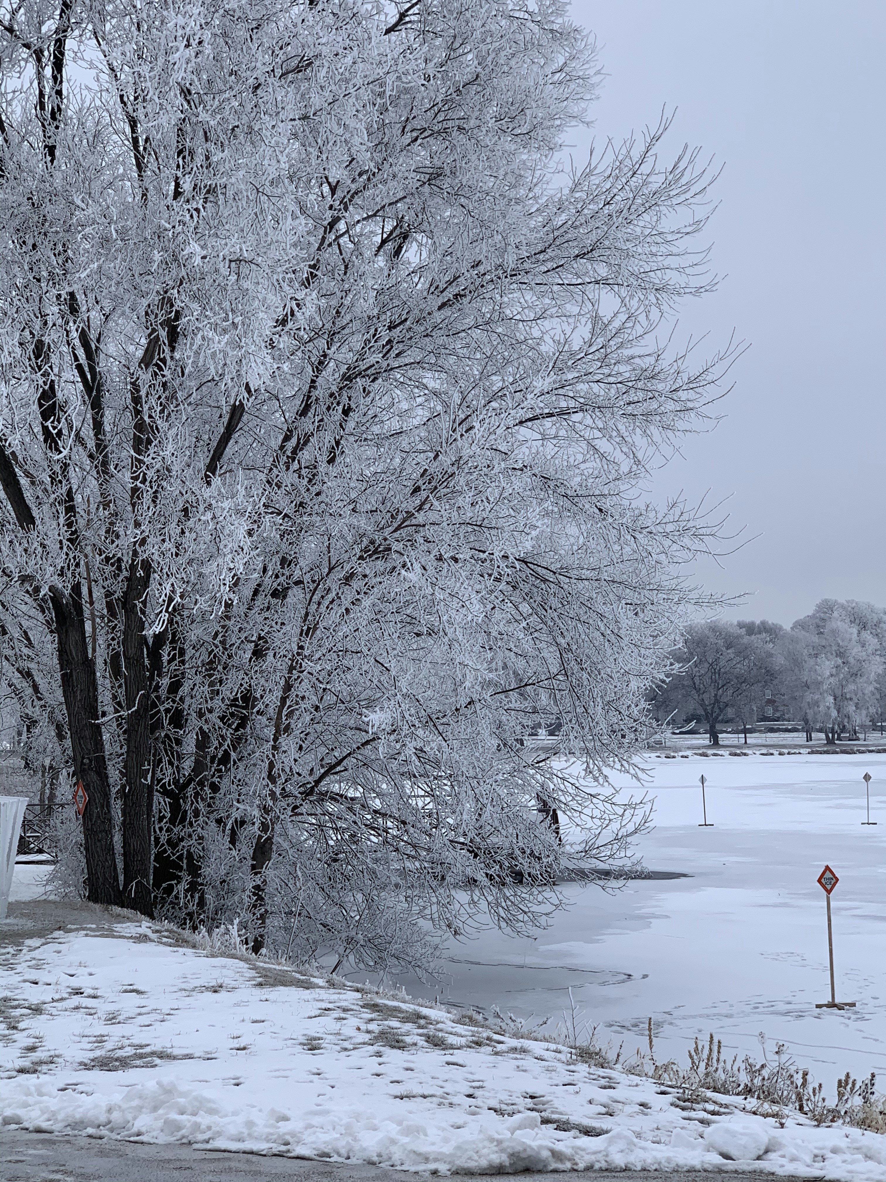 Frost-covered trees stand by a frozen lake under a cloudy sky.