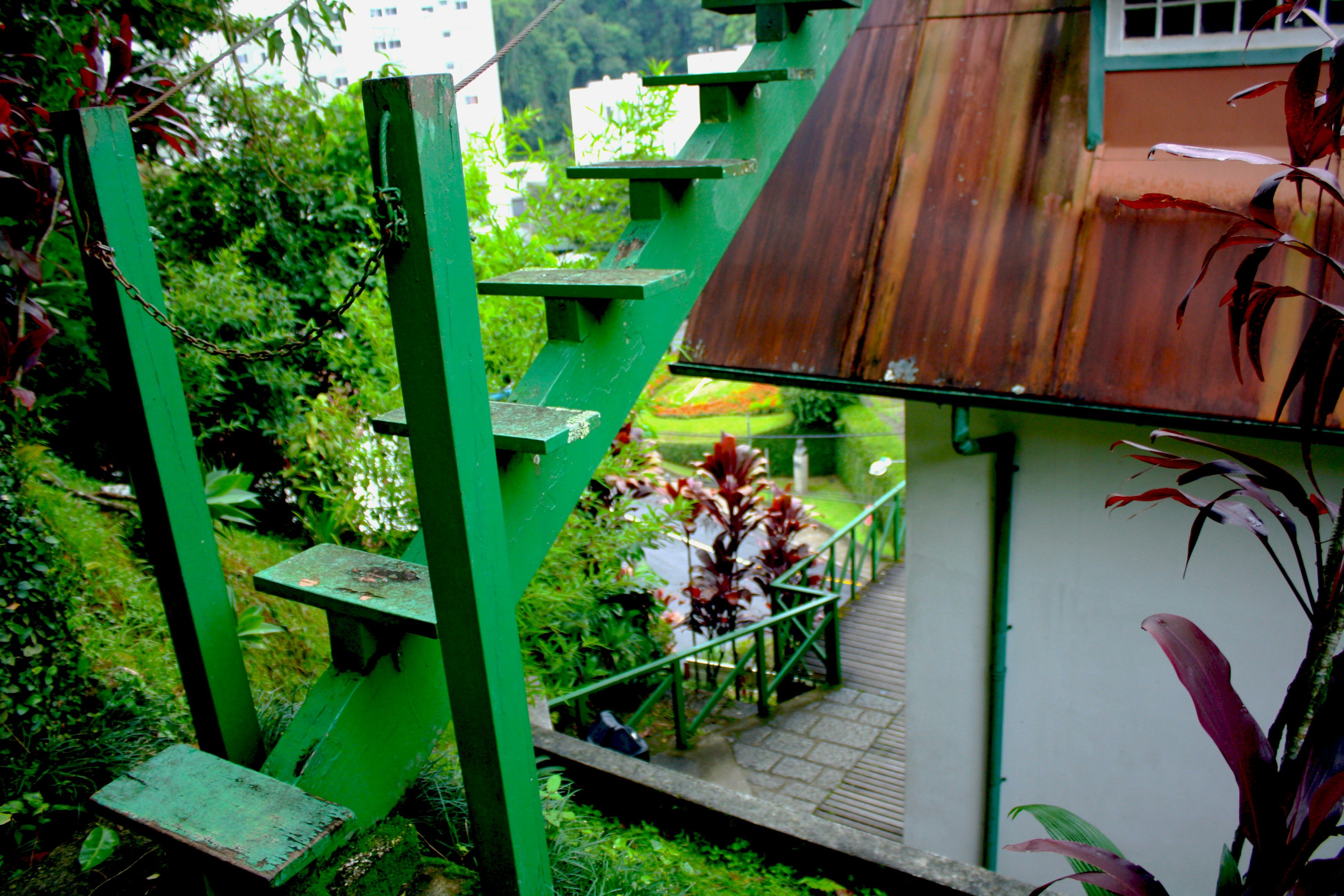 Verdant Stairway Amidst Rustic Charm