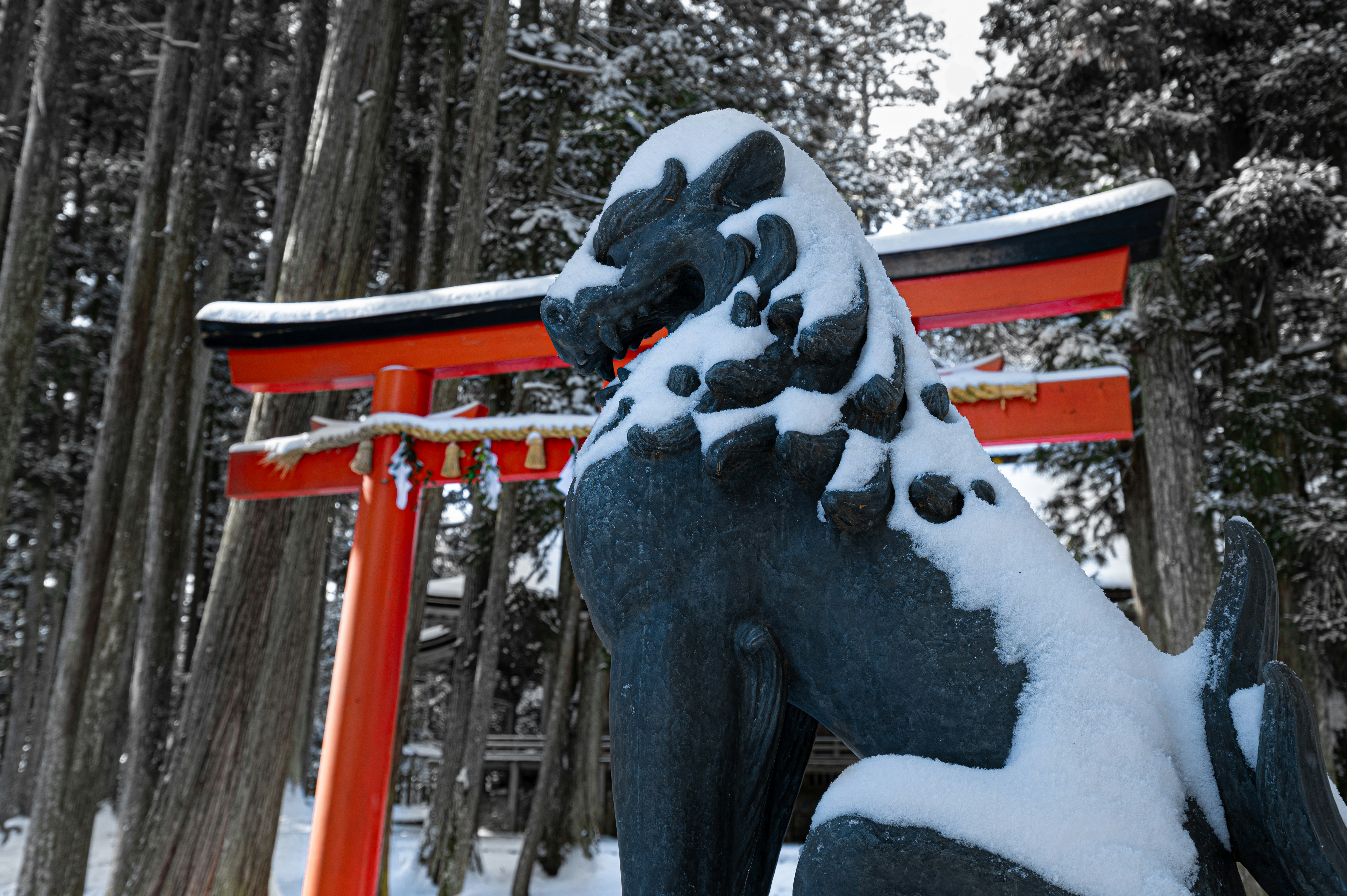 Samuel Berner (@saaam_chan) | Unsplash Photo Community