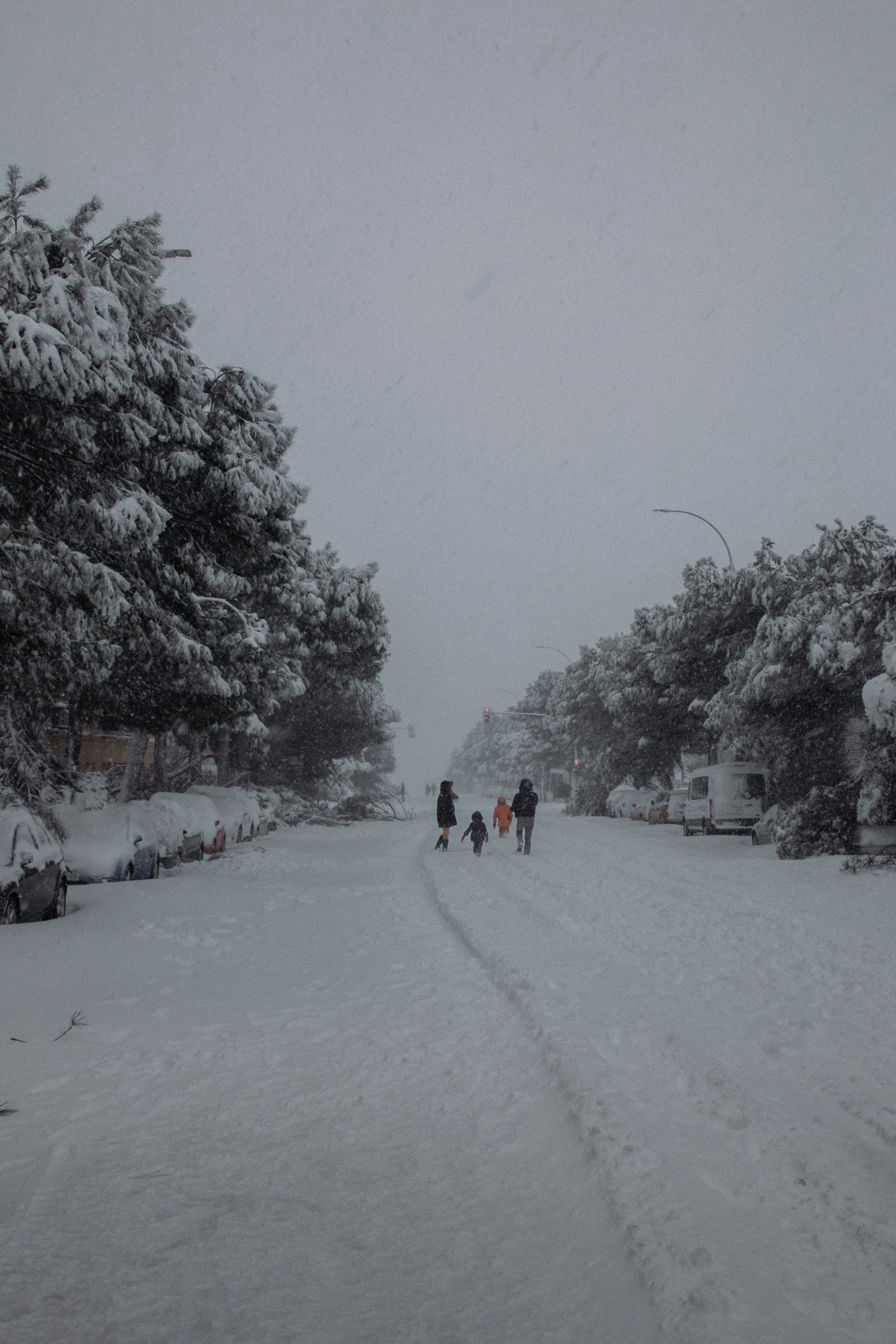 Snowbound Street: Family Walk Toward the Quiet Horizon