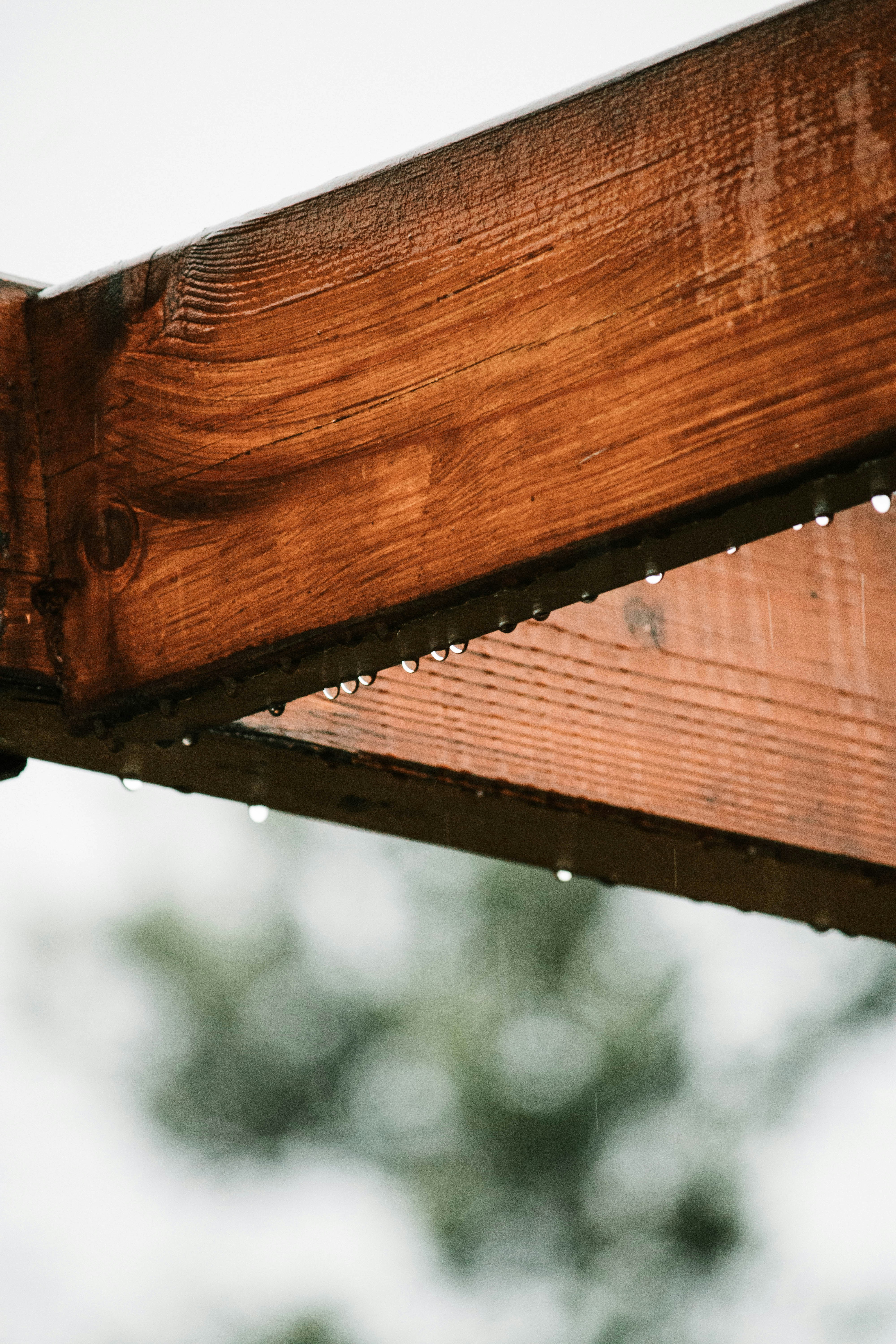 Rain-kissed Timber: Droplets Cling to a Weathered Beam