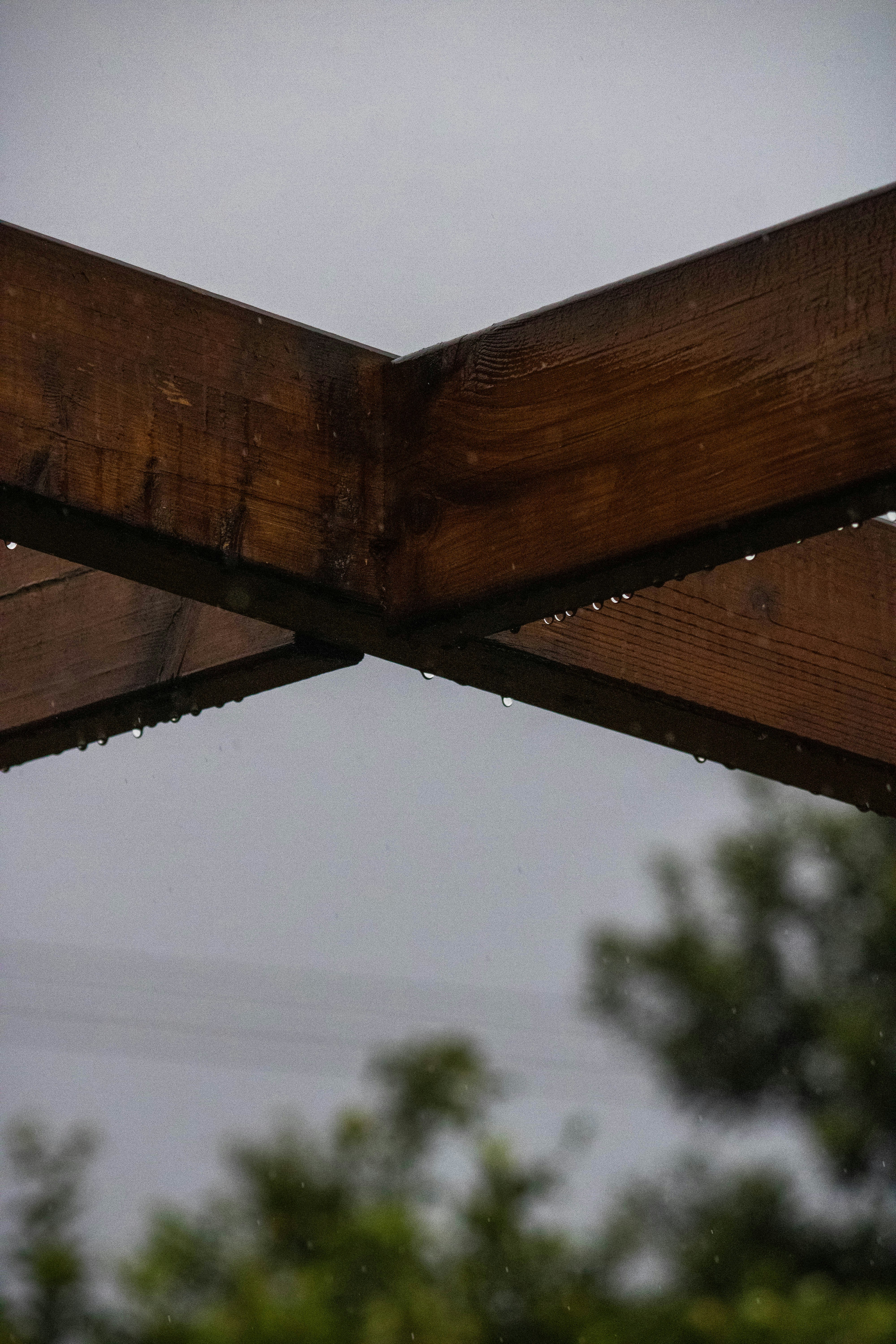 V-Joined Timber Beams Draped with Rain Against a Pale Sky