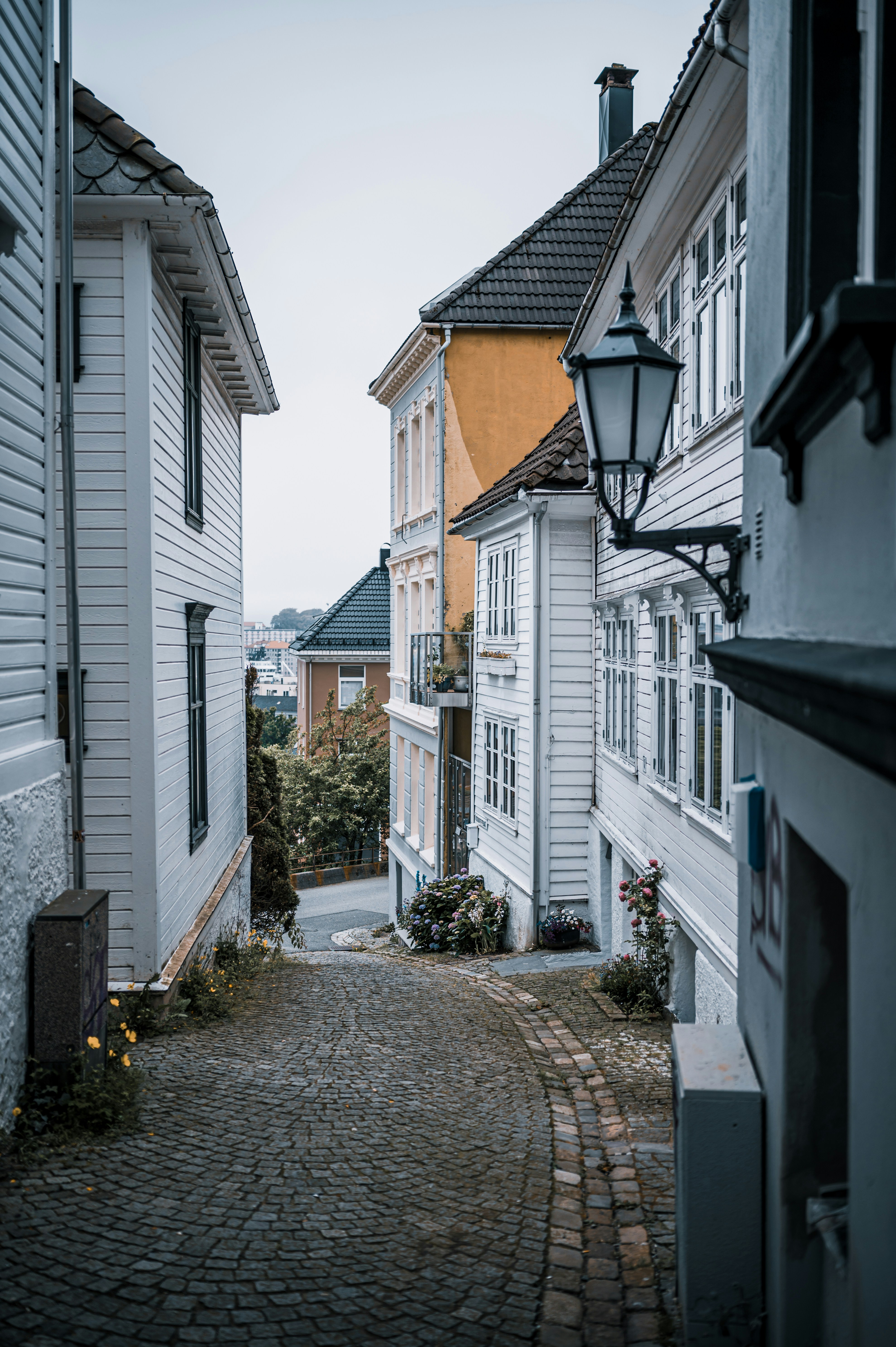 Cobbled Ascent Between White Facades Toward a Distant Harbor