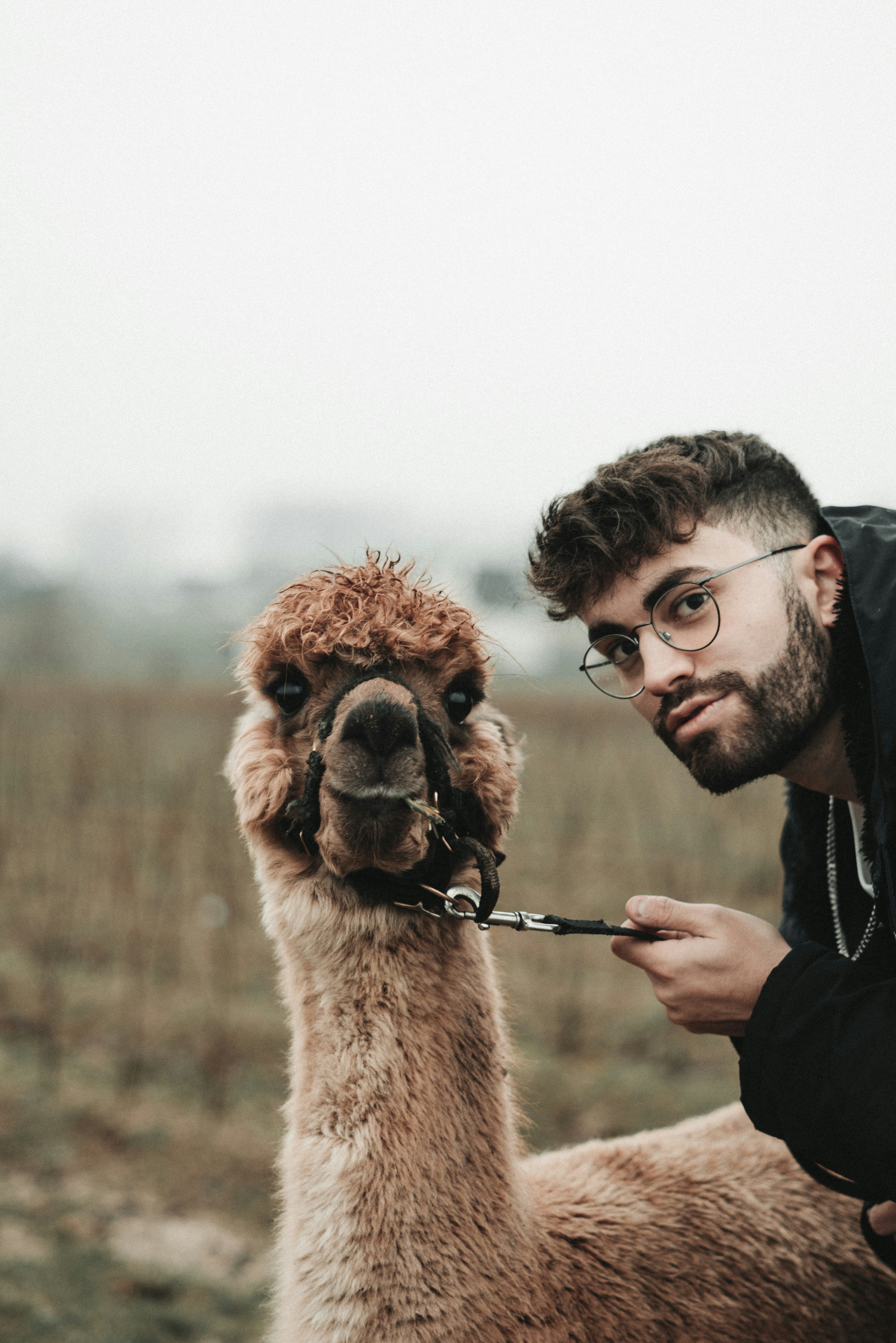 man in black crew neck shirt holding brown llama