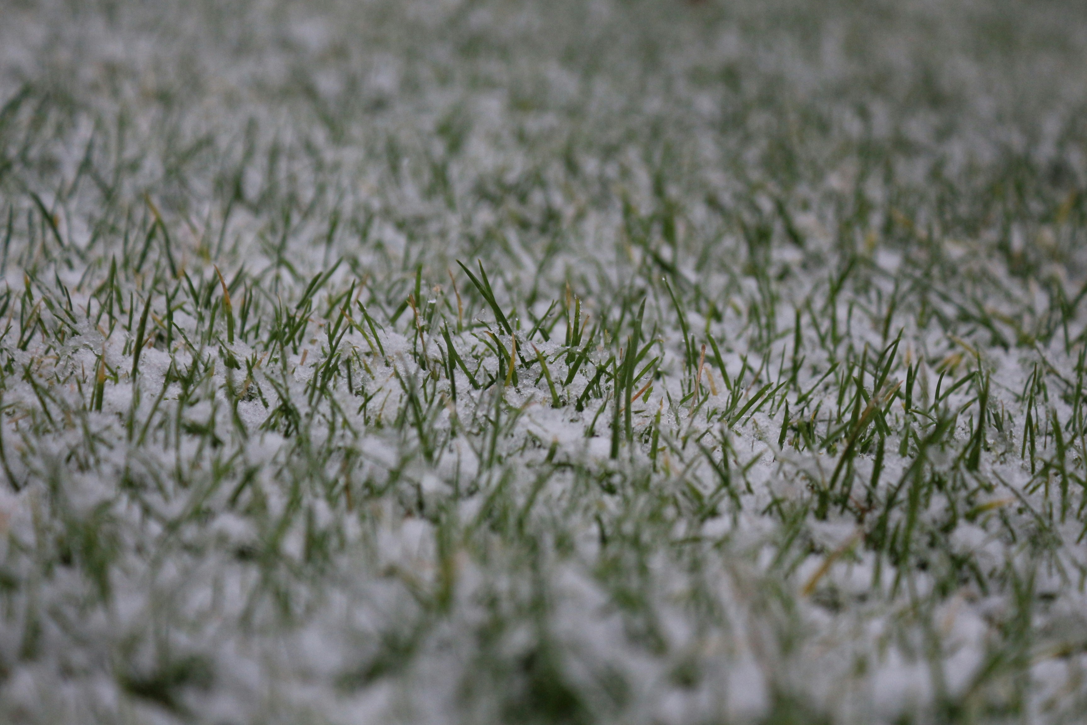 Photo by Lidia Nikole with Canon EOS 700D