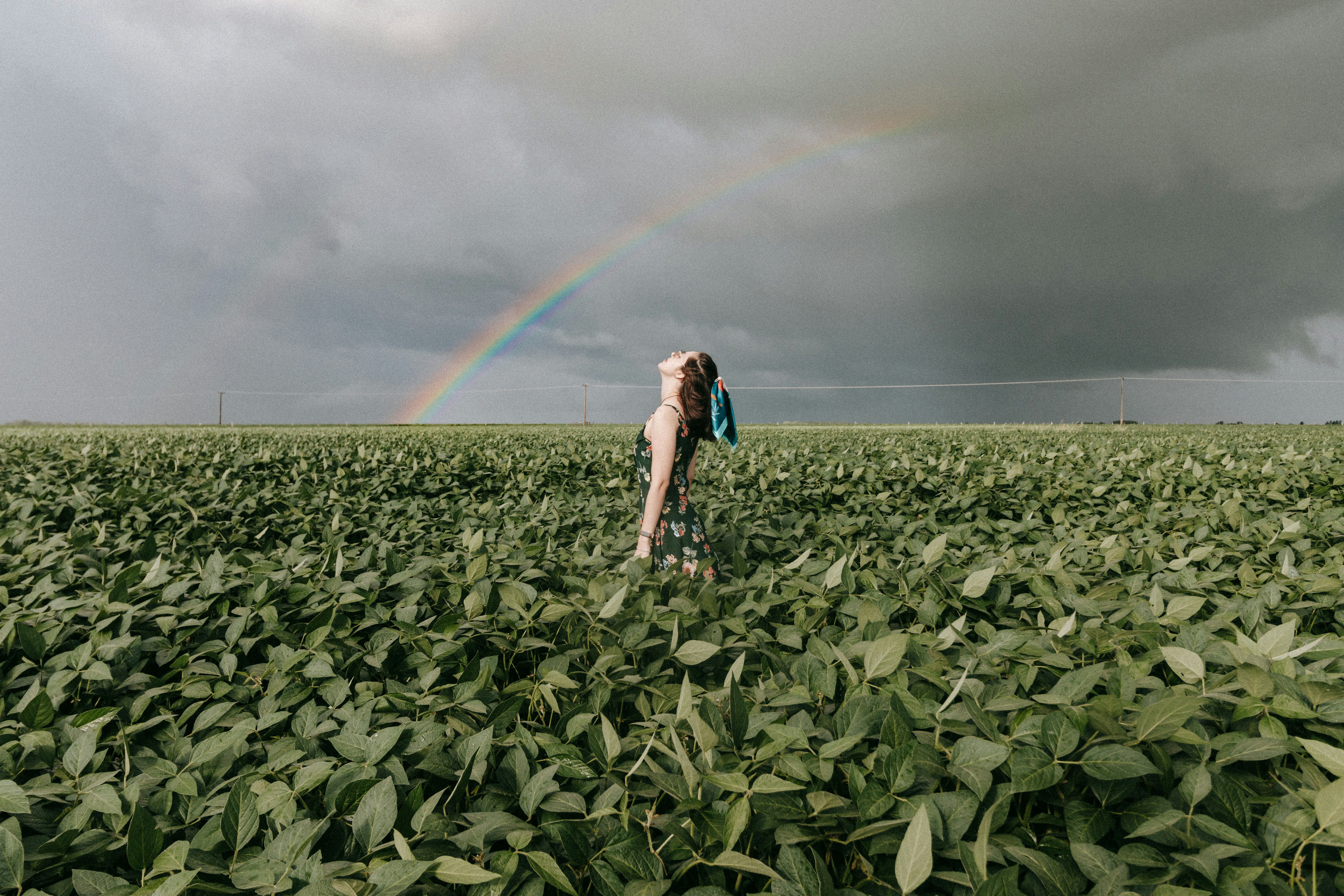 Midfield Stature: A lone figure beneath a double rainbow