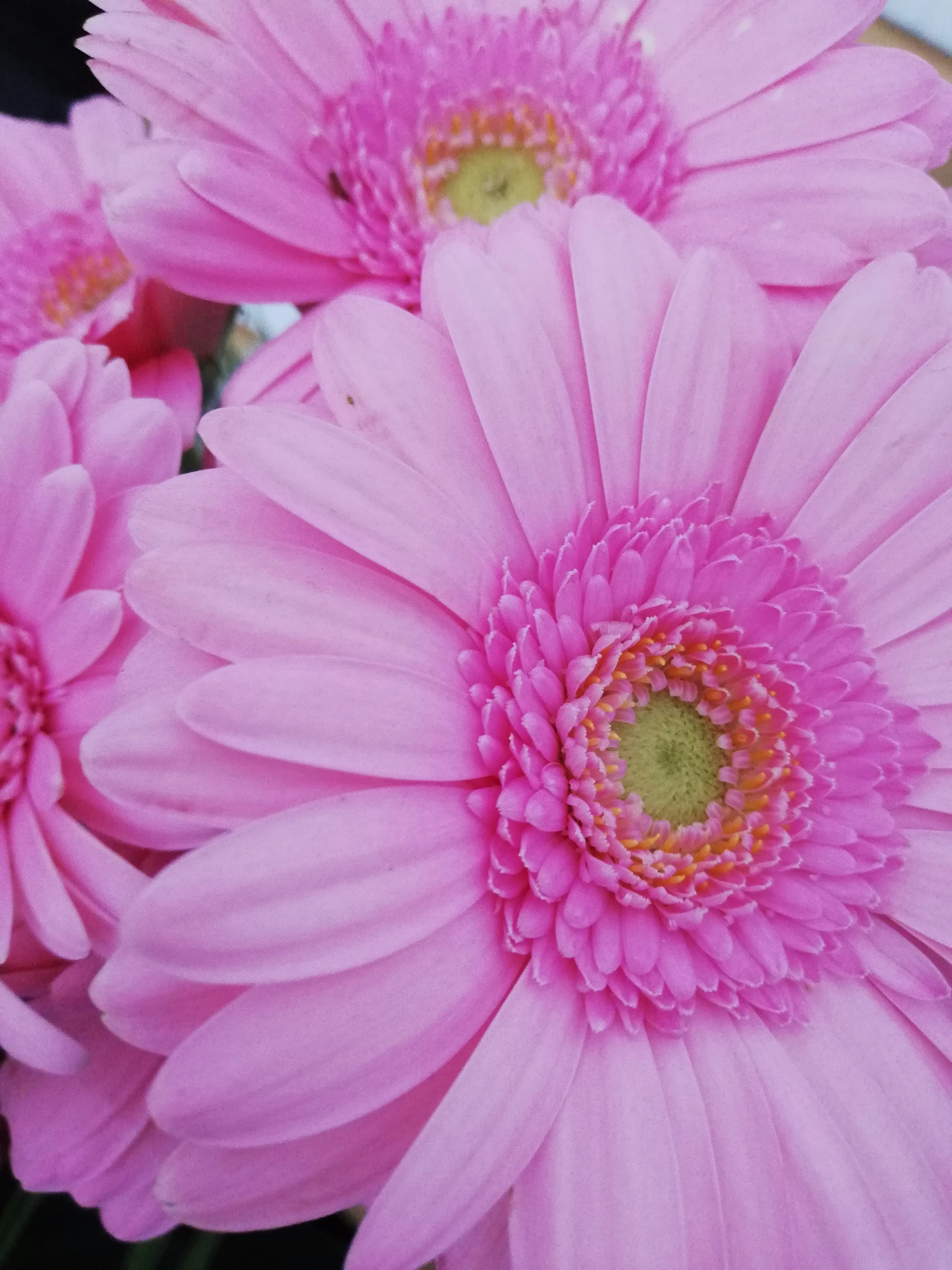 Nikki S (@nikki_sch) | Unsplash 사진 커뮤니티