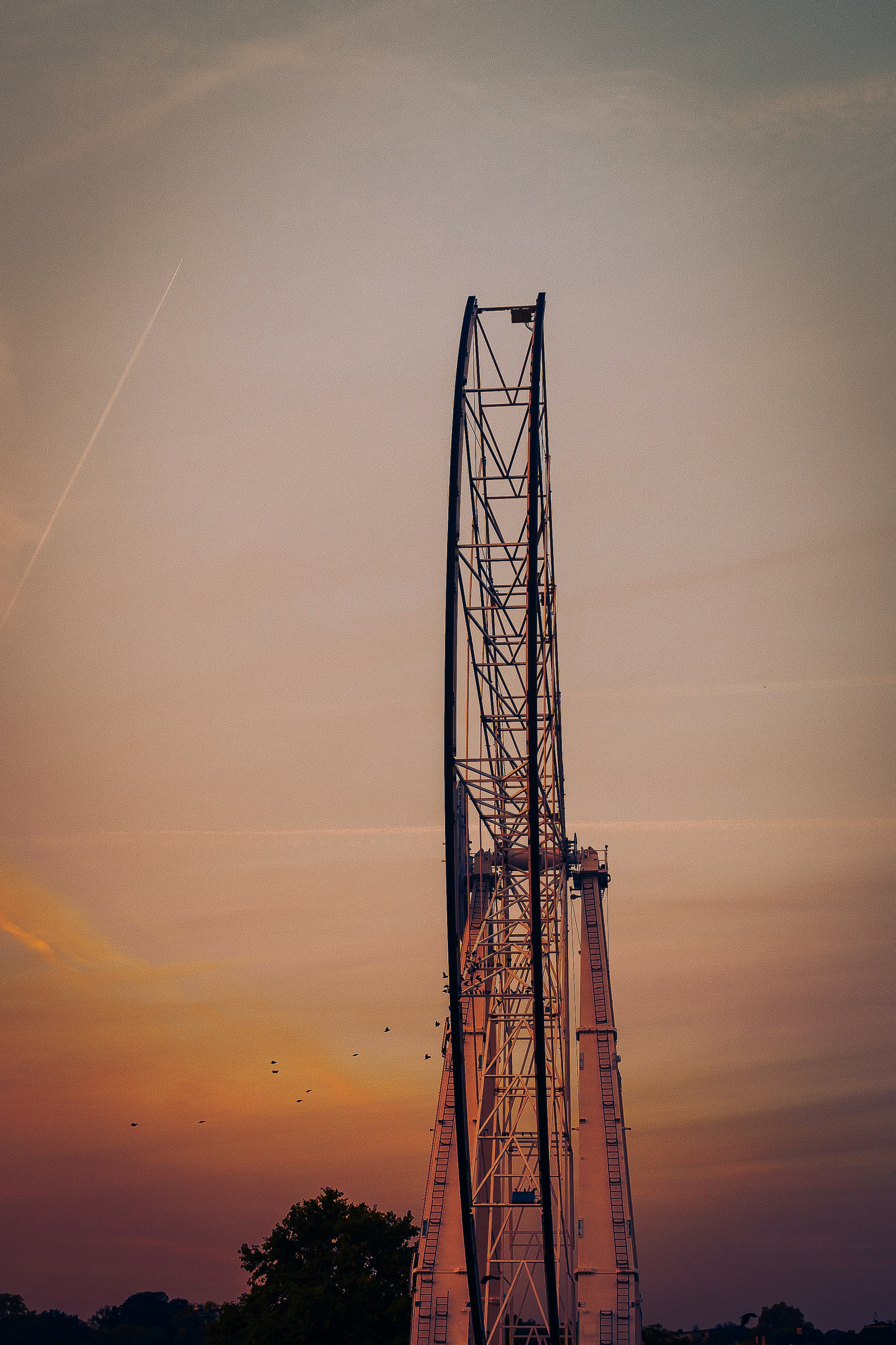 Silhouette of a Ferris wheel against a pastel sunset sky, framed by tree outlines below.