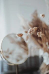 Whispers of Nature: A Still Life Reflection