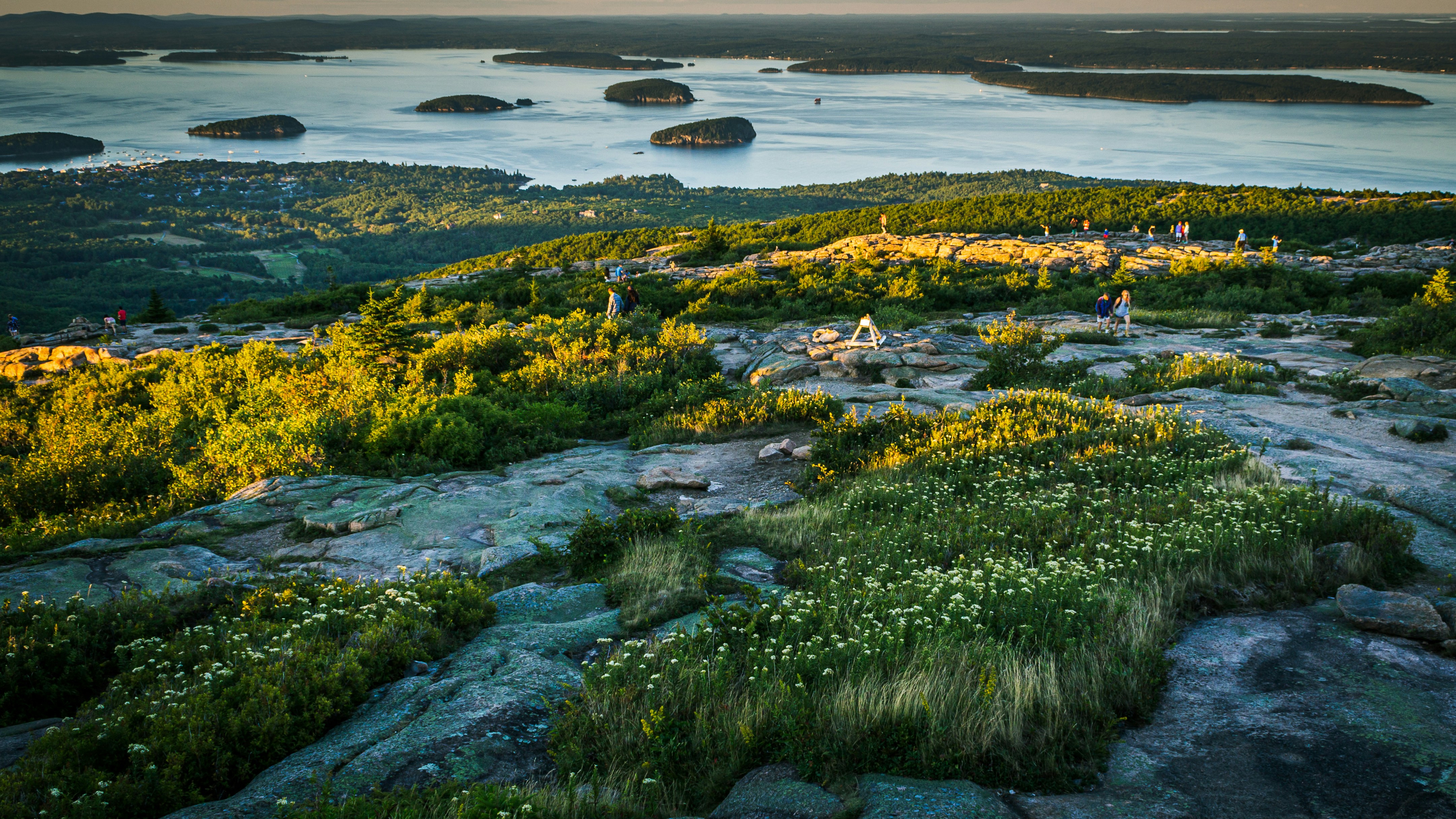 Green grass field near body of water during daytime photo – Free Acadia ...