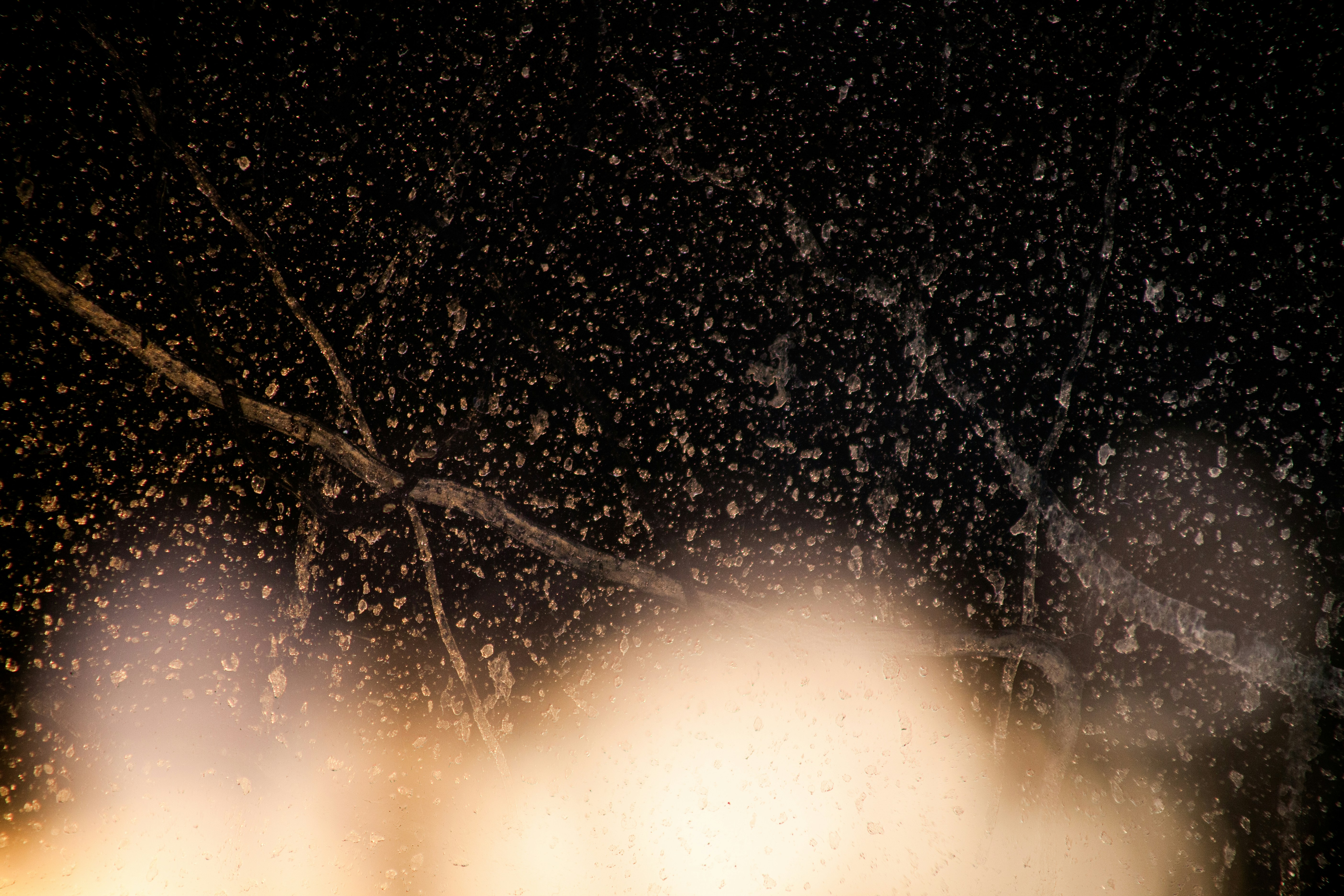 Rowan Heuvel (@insolitus) | Unsplash Photo Community